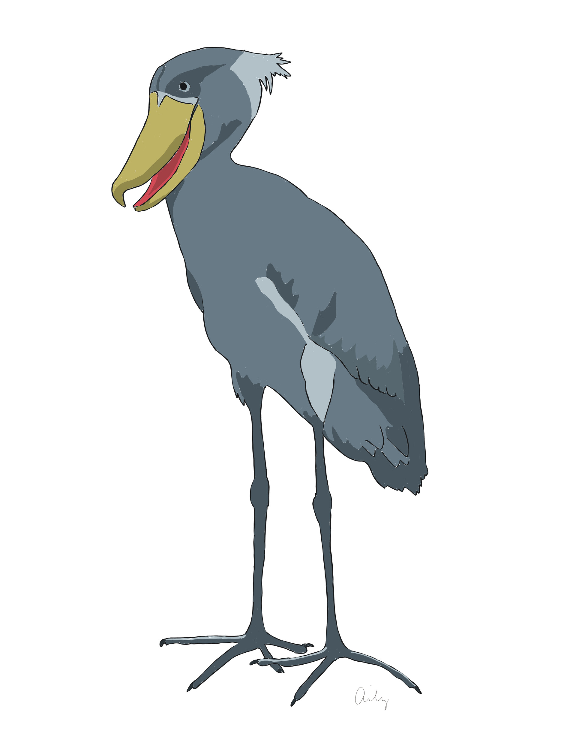 Aily Marie - Shoebill Stork
