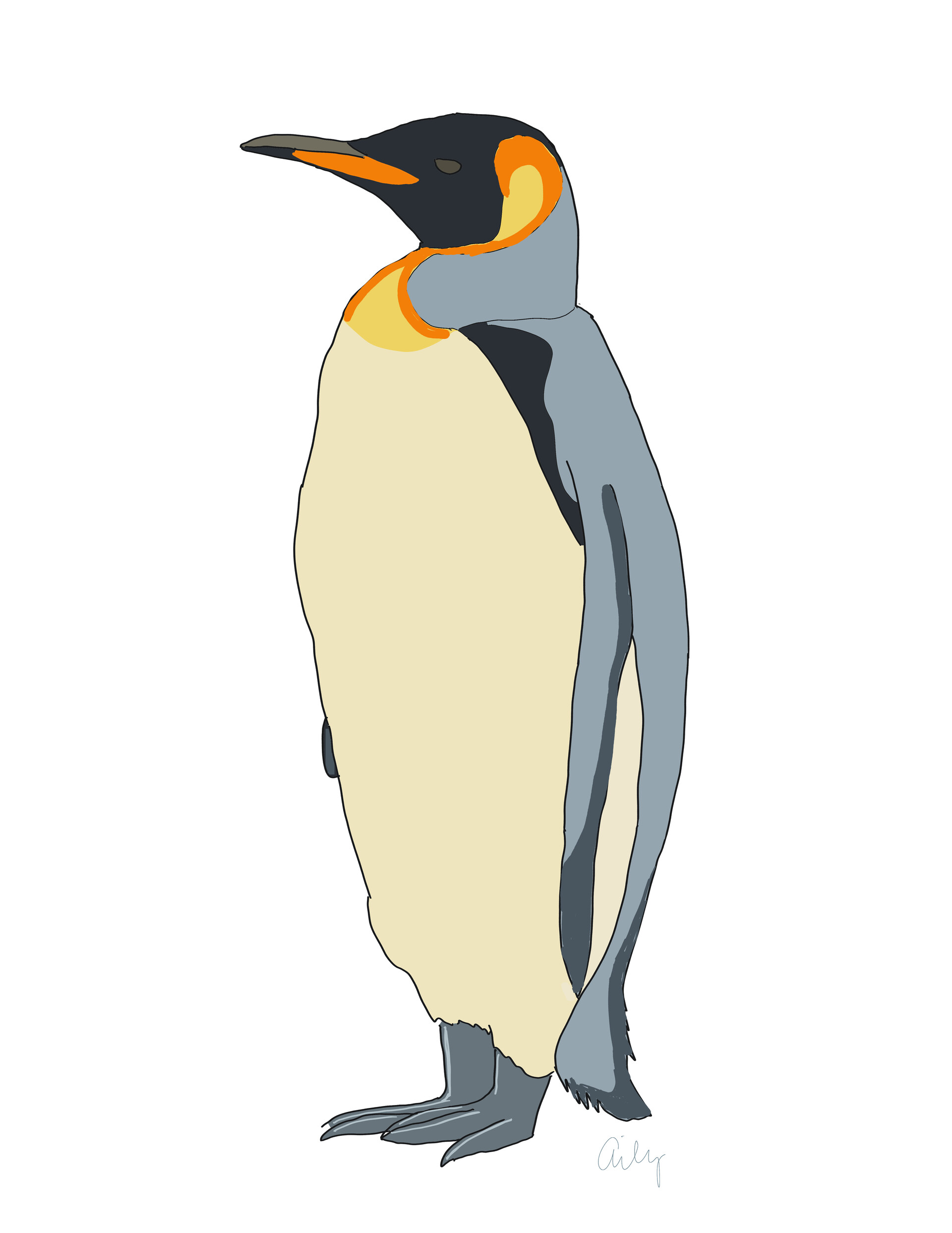 ArtStation - King Penguin