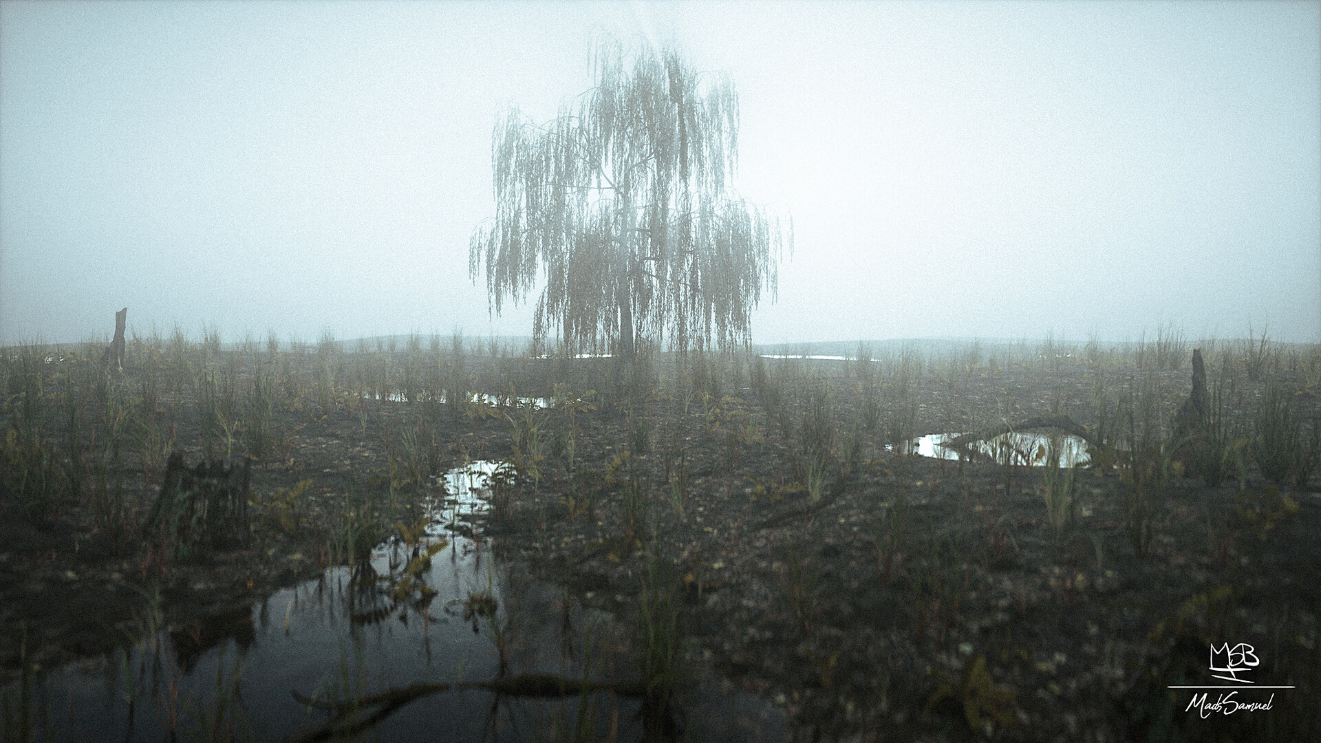 ArtStation - Weeping Willow