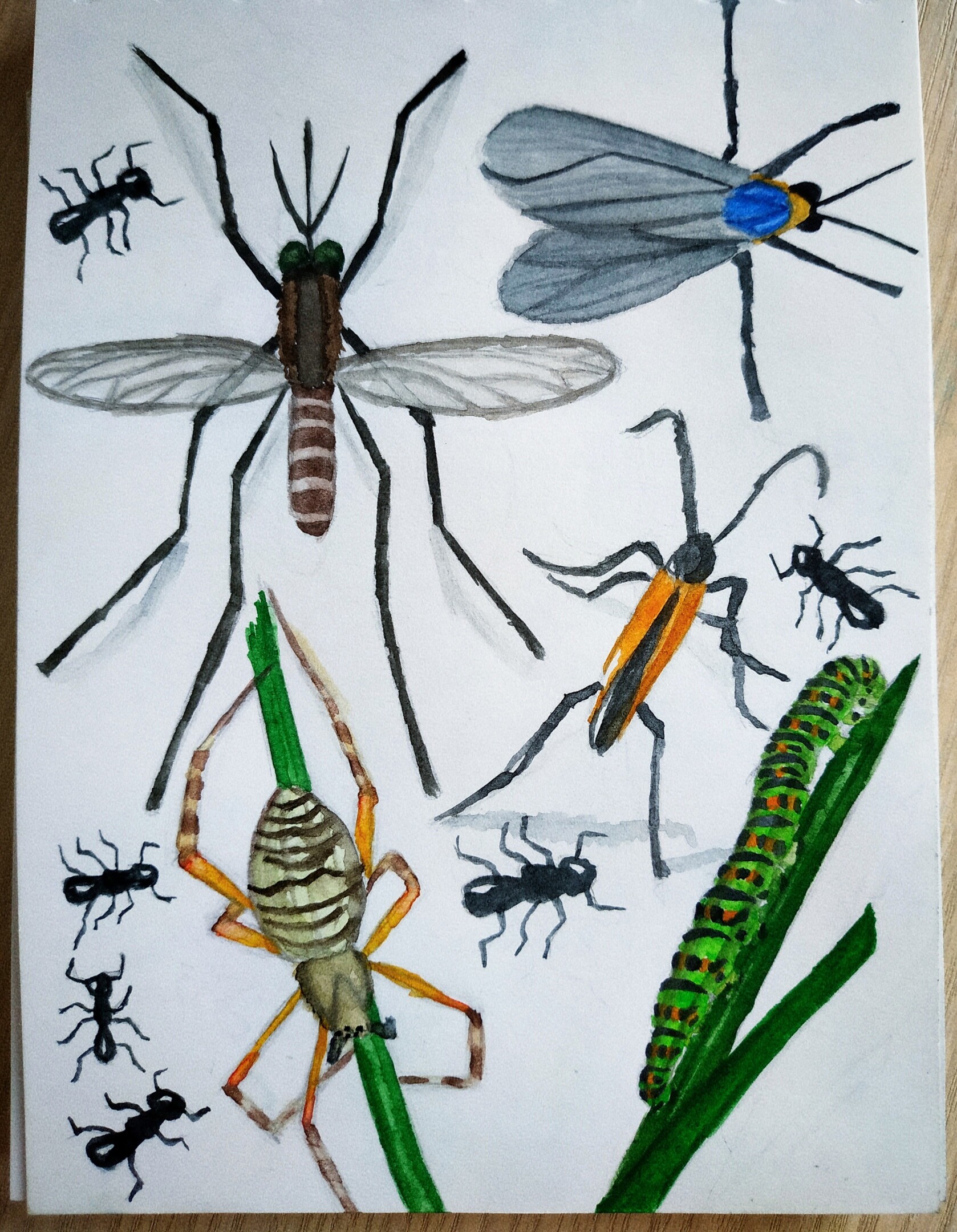 ArtStation - Insect Study