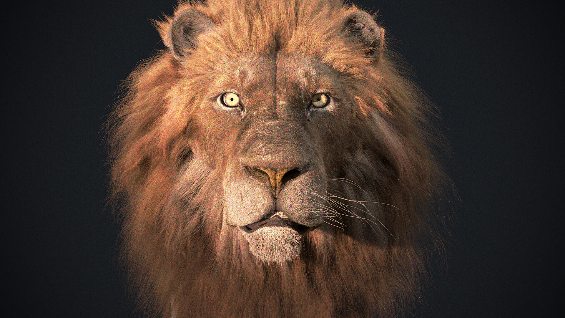 ArtStation - Lion. Grooming. WIP-01