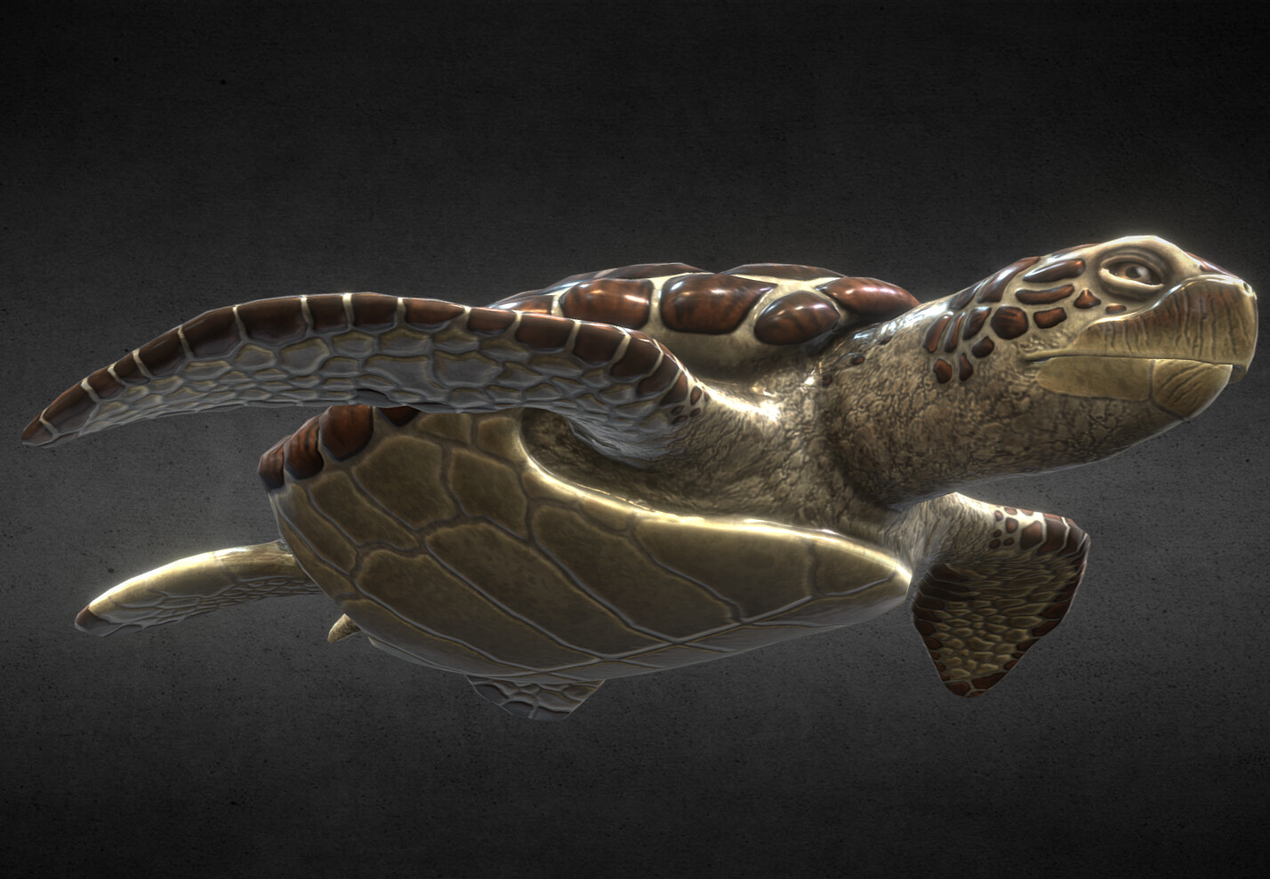 ArtStation - Green sea turtle
