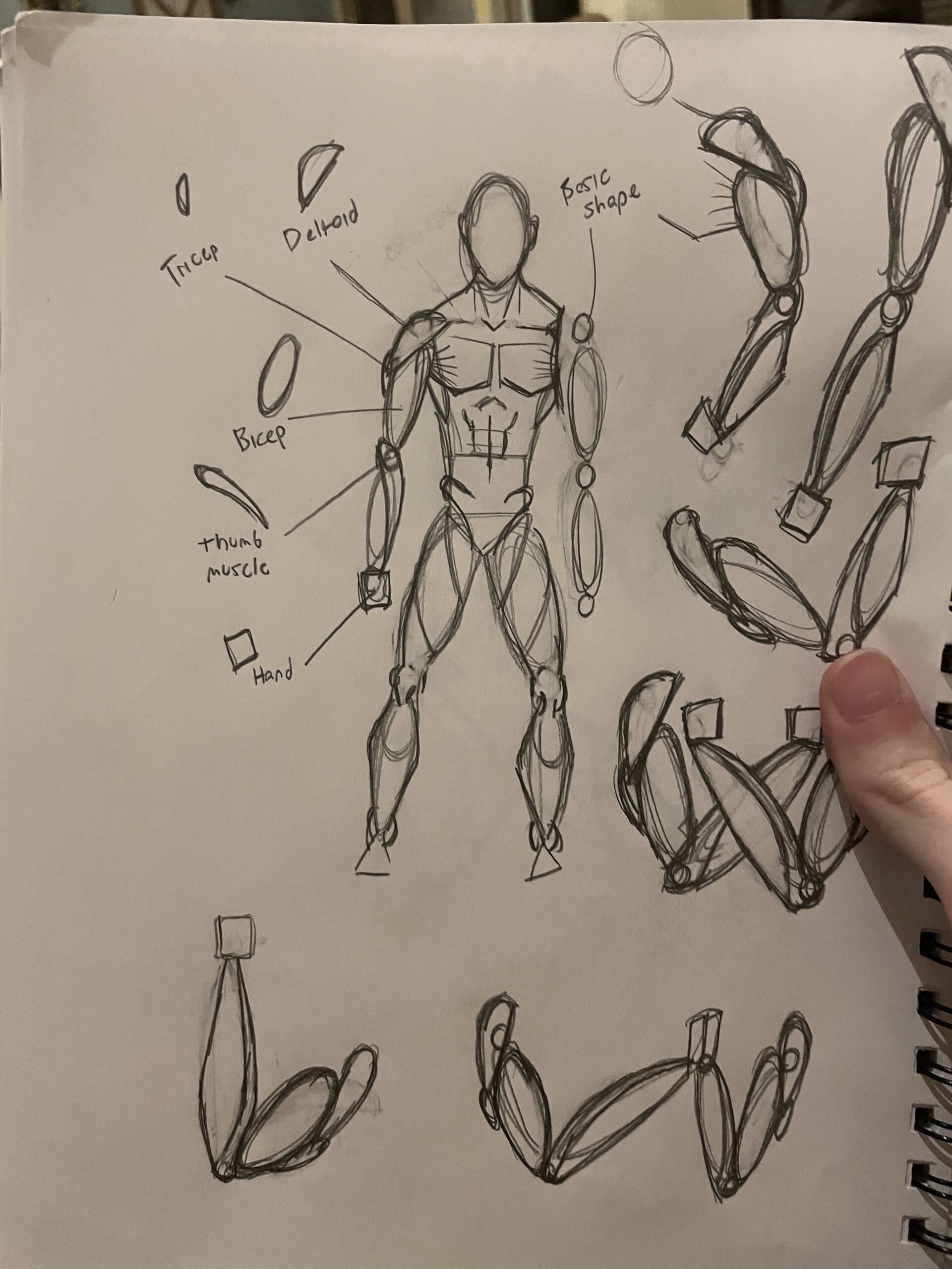 how to draw body zhc