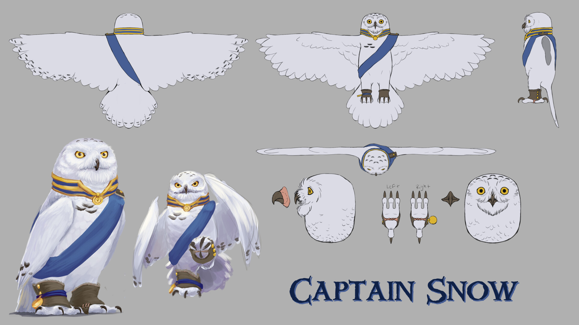 ArtStation - Redwall: Captain Snow Concept