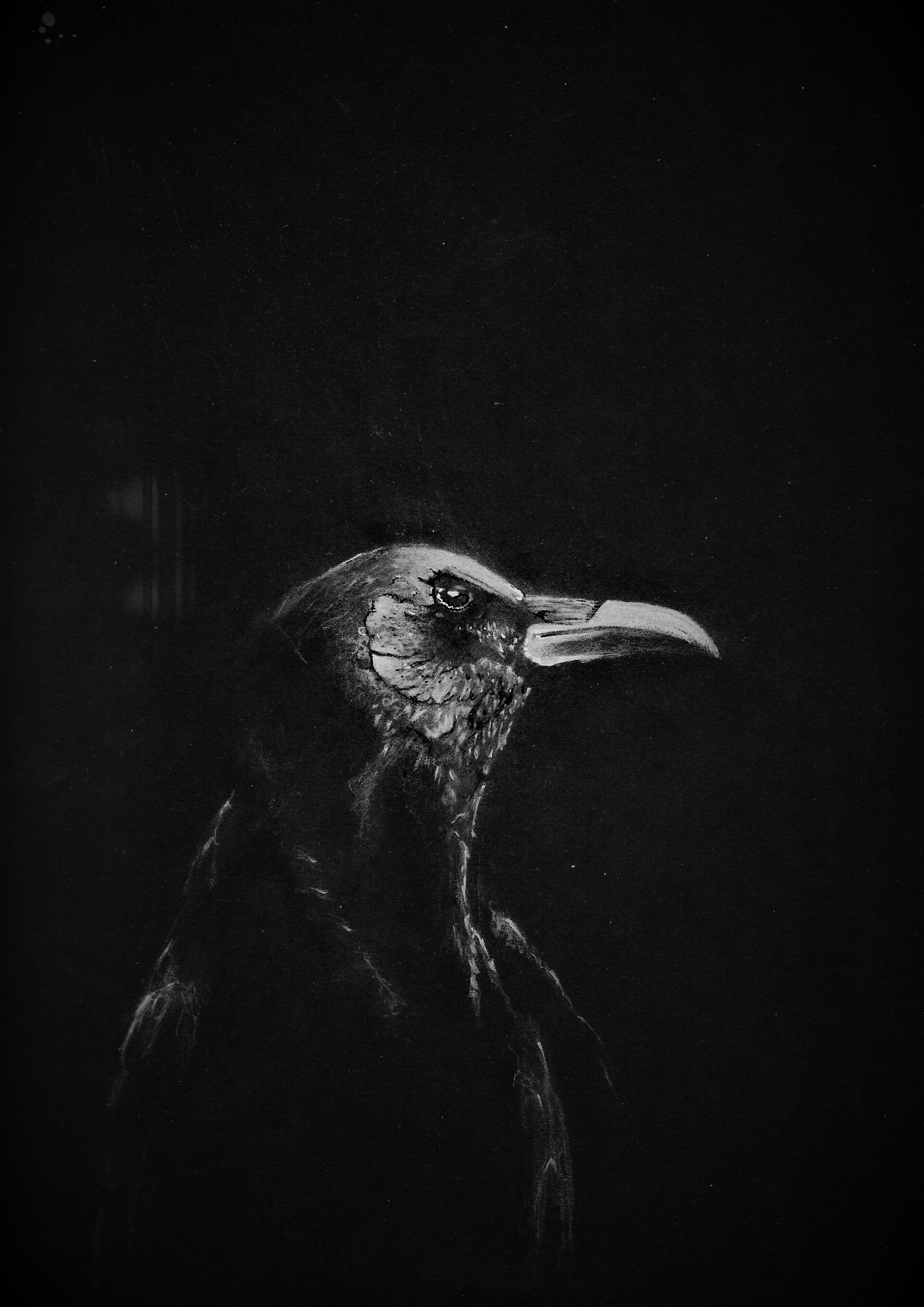 ArtStation - Corbeau