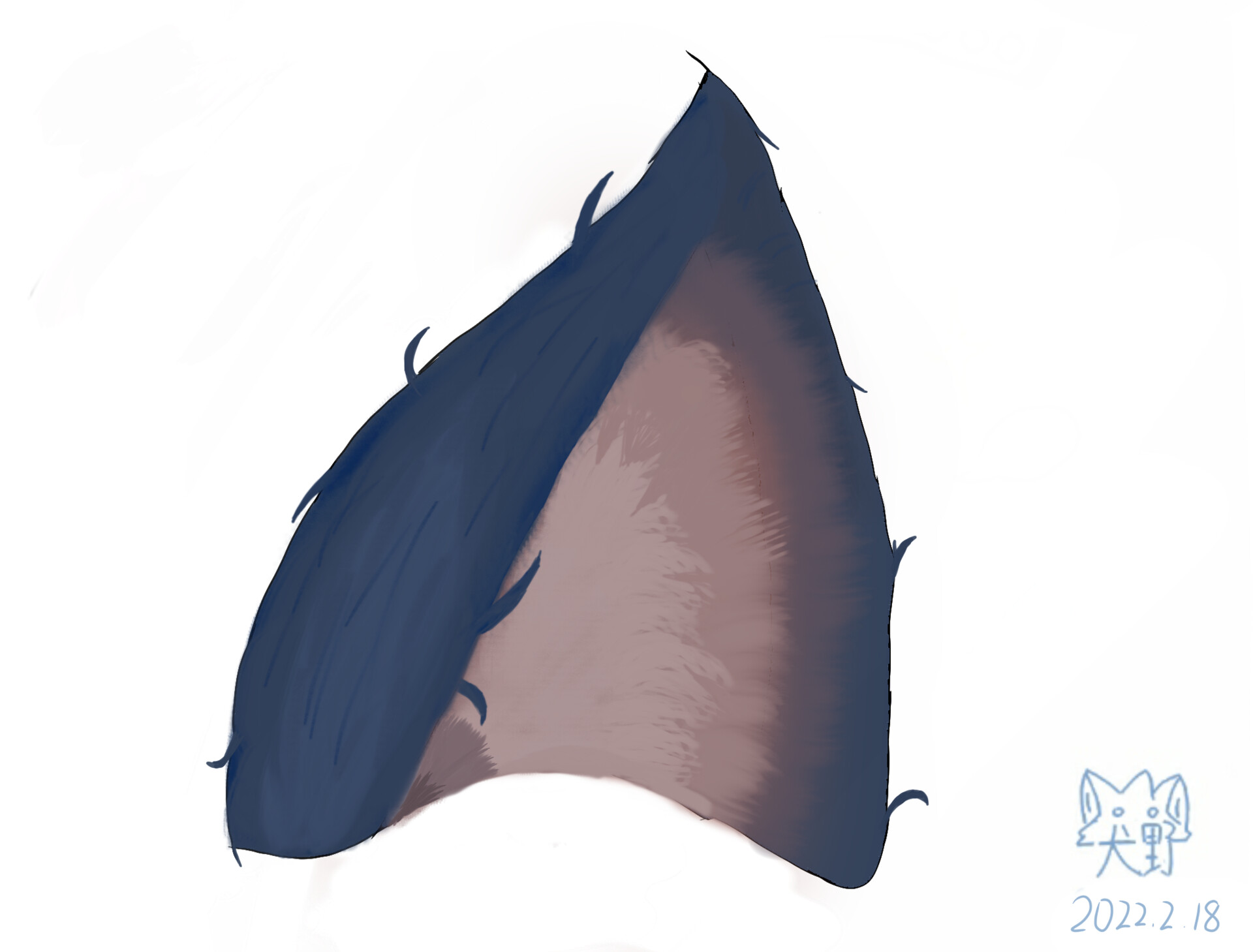 ArtStation - Furry Ear