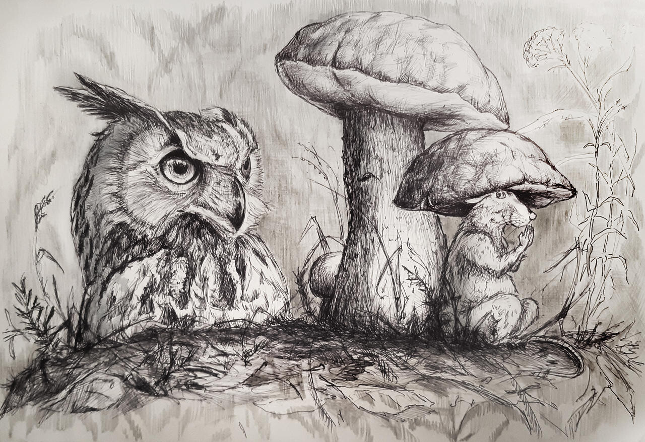 ArtStation - Book illustration