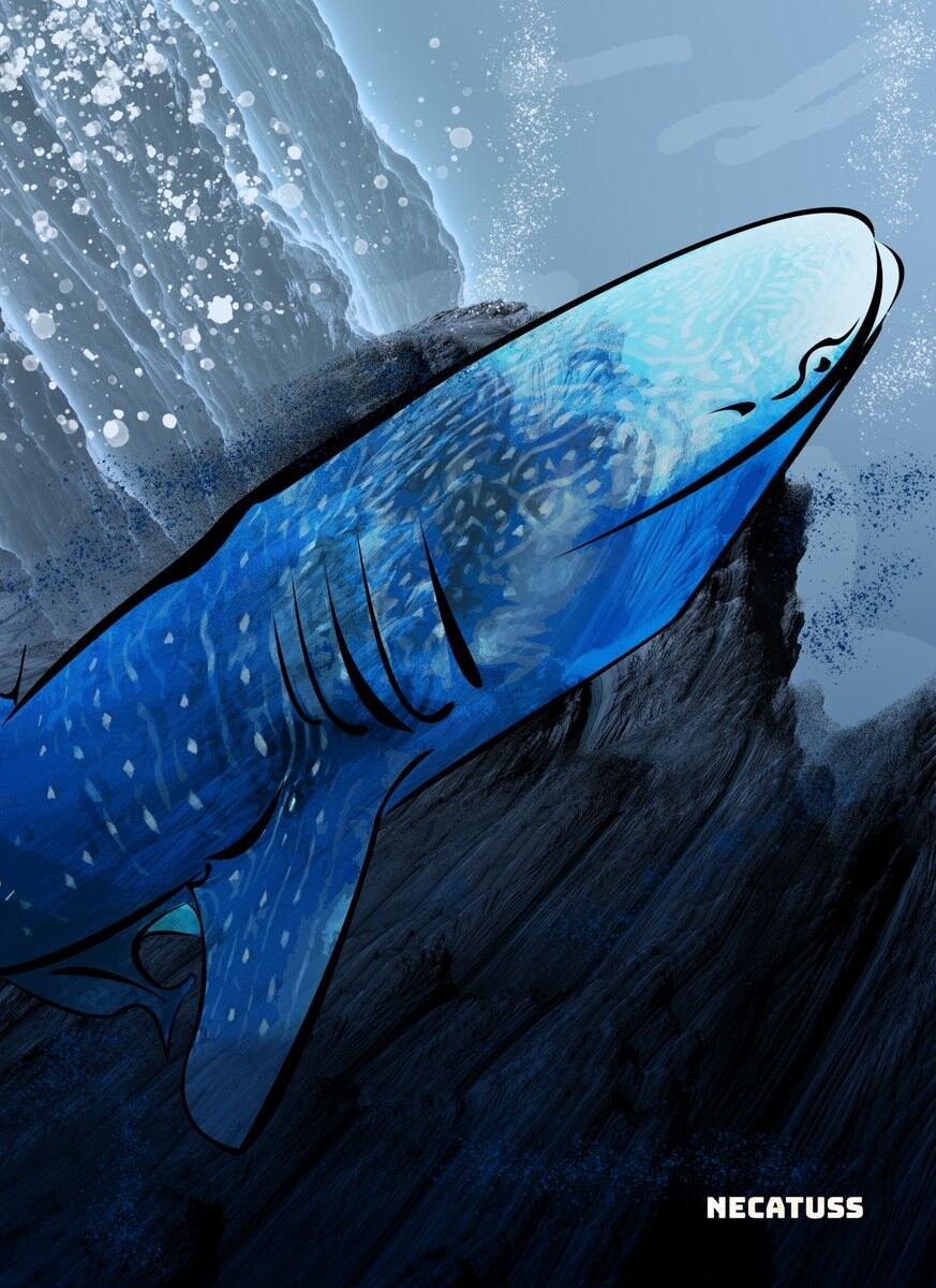 ArtStation - Whale Shark Illustrations
