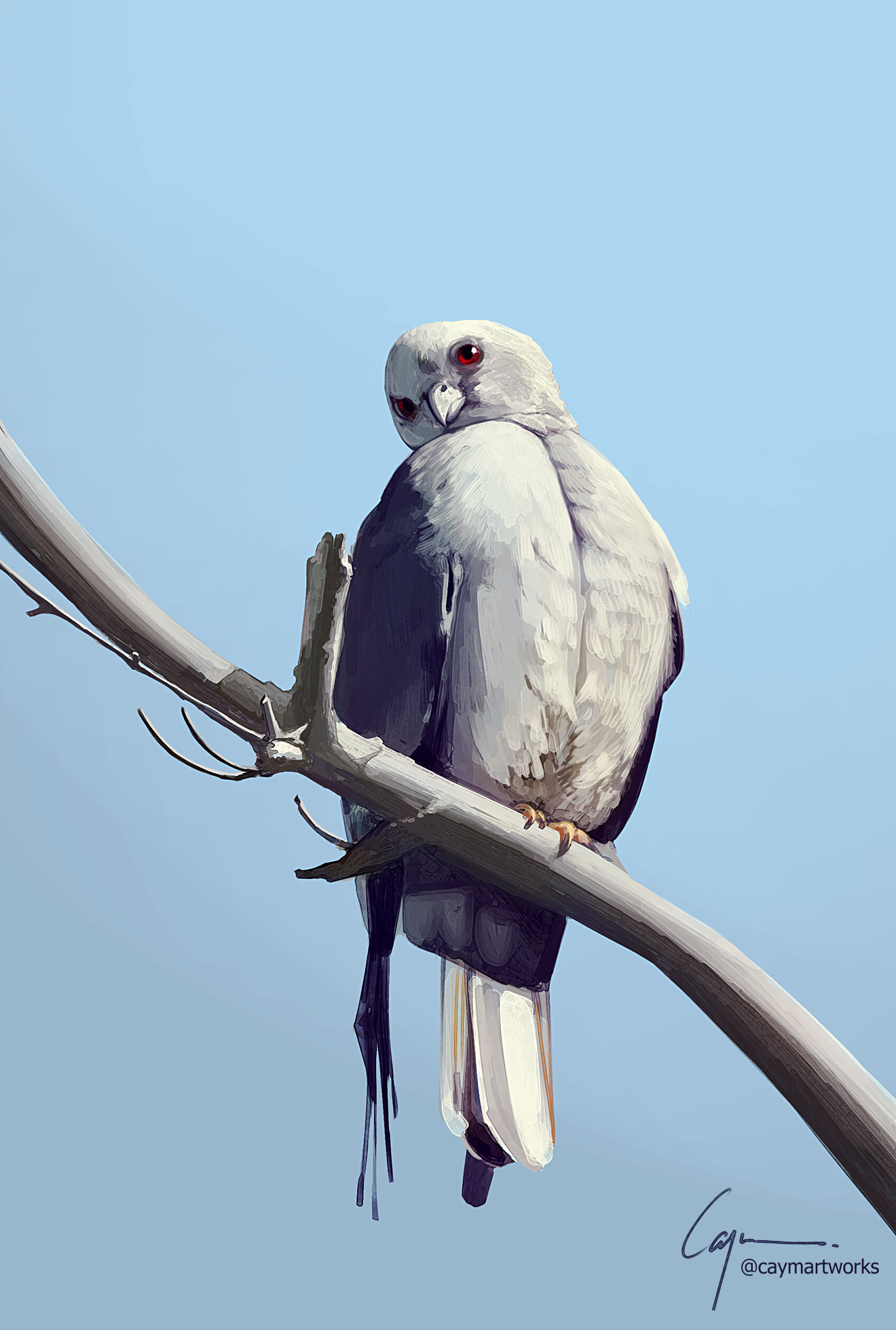 ArtStation - Bird portrait