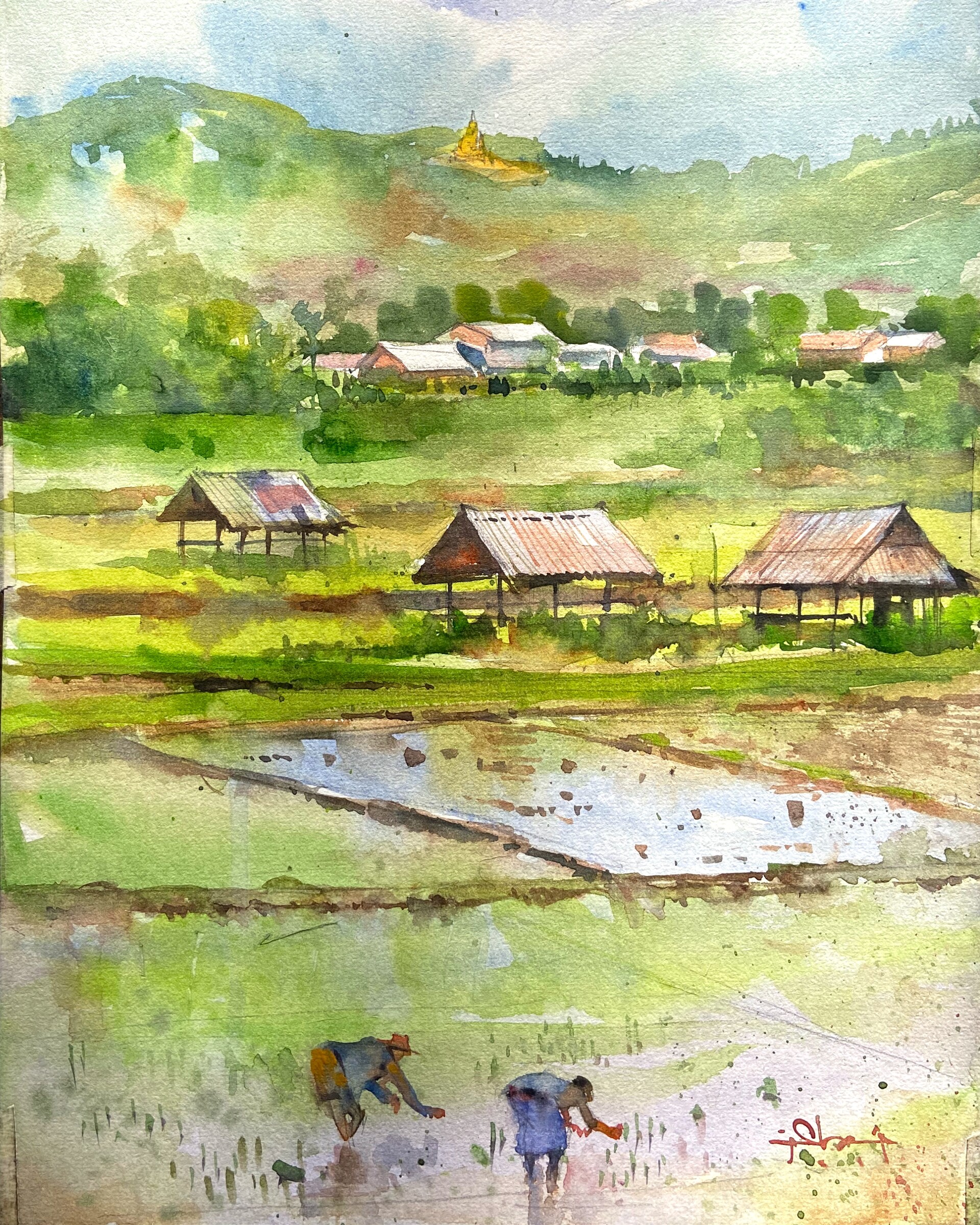 ArtStation - paddy fields