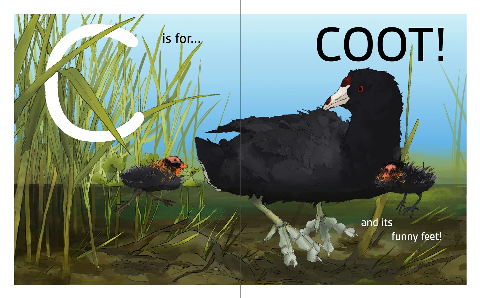 Ender - ABC Page project redo