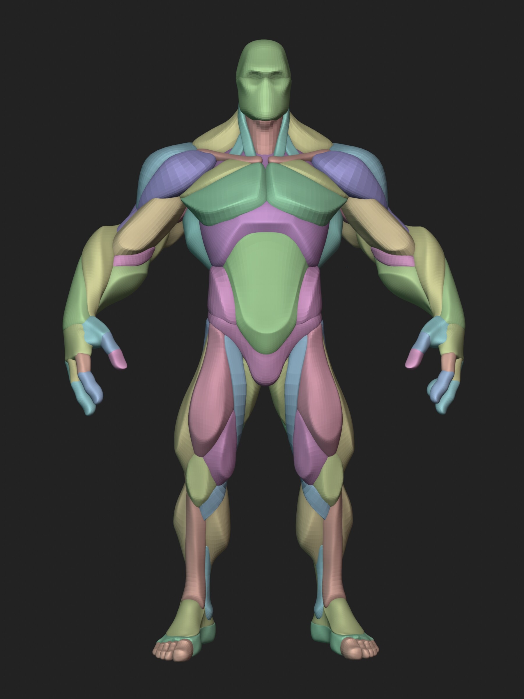 ArtStation - Stylized Hero *Anatomy Blockout