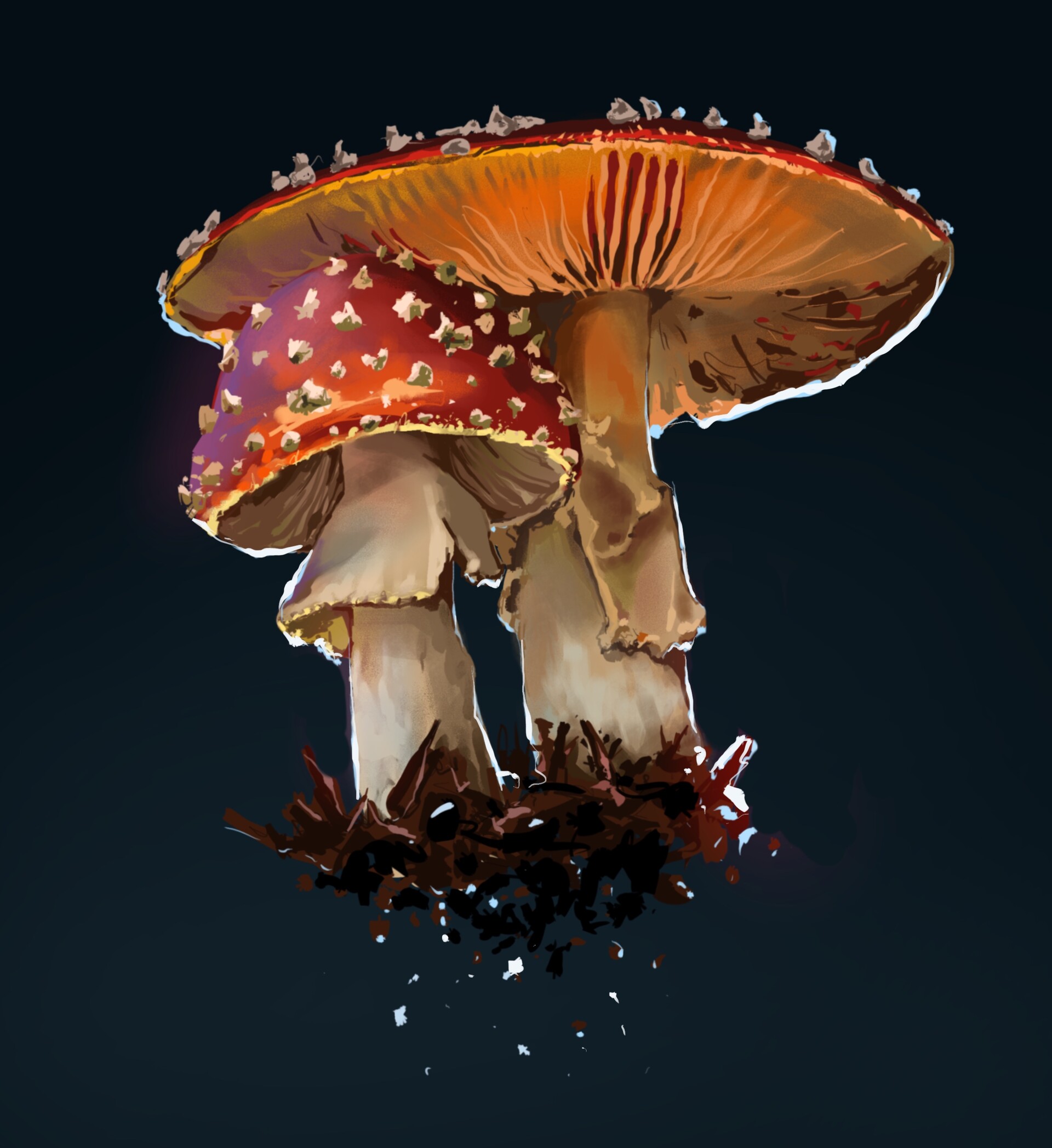 ArtStation - Shrooms