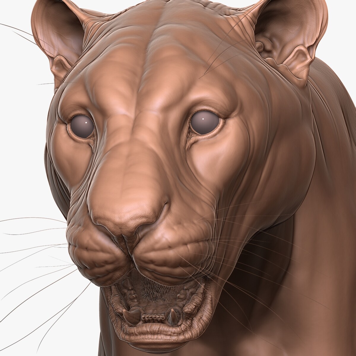 ArtStation - Fully Detailed Siberian Tiger Zbrush Sculpt