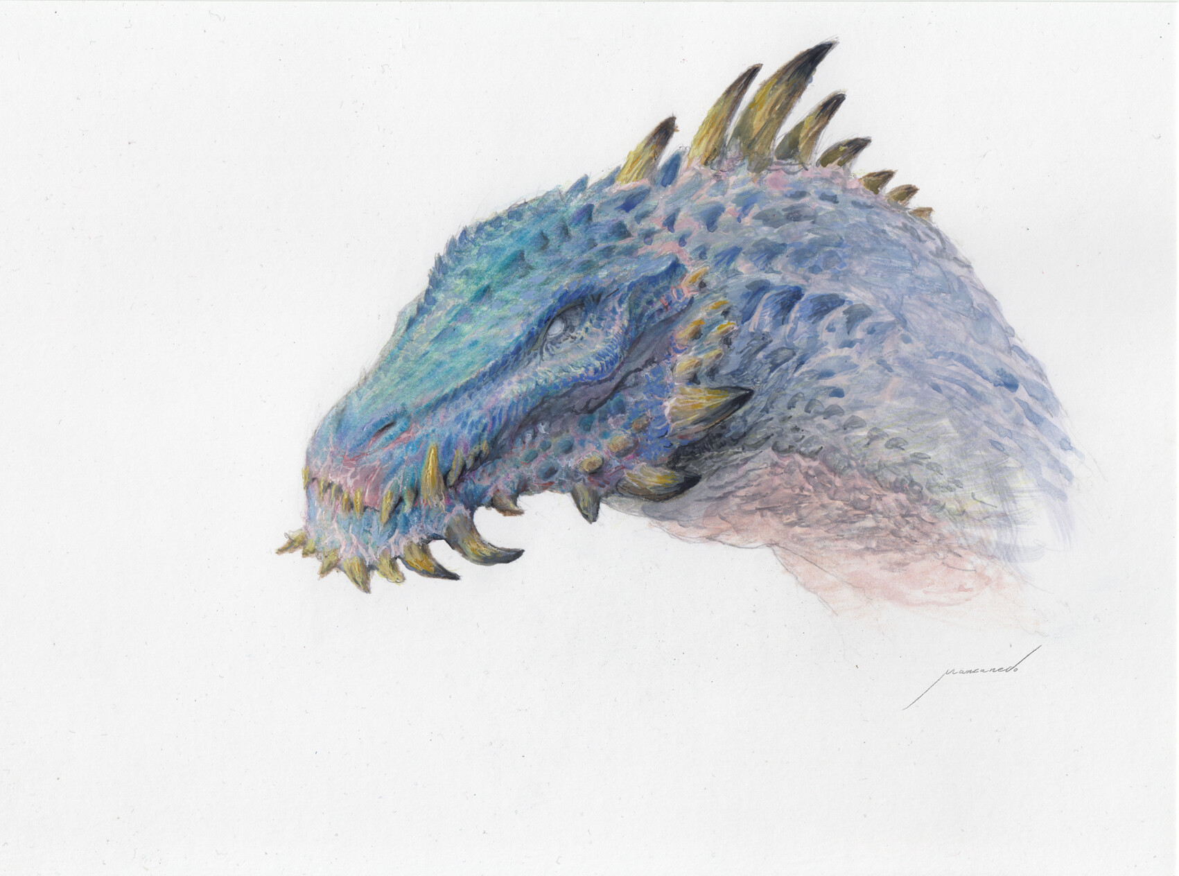 Dragon Head Drawings In Color