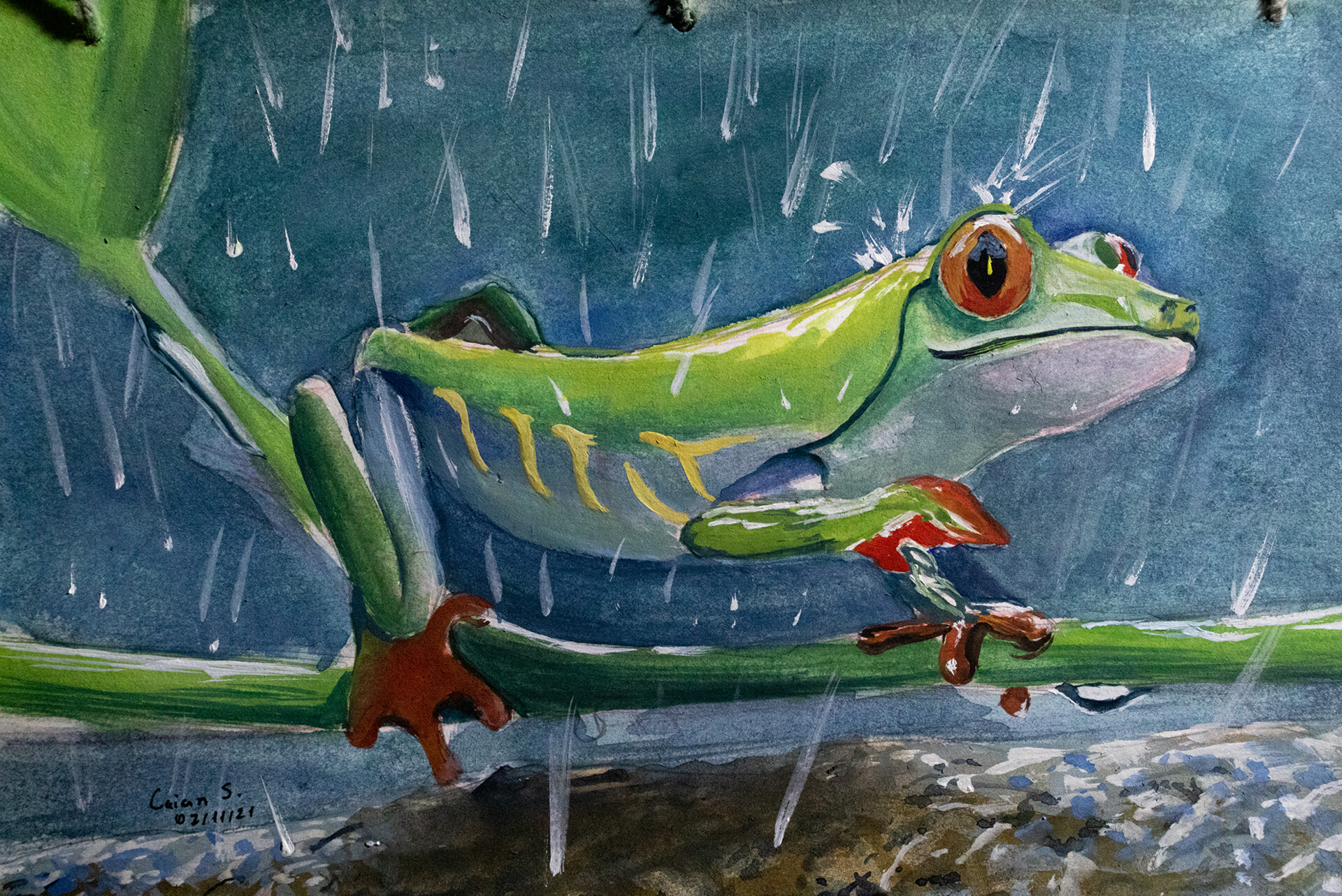 ArtStation - O sapo colorido