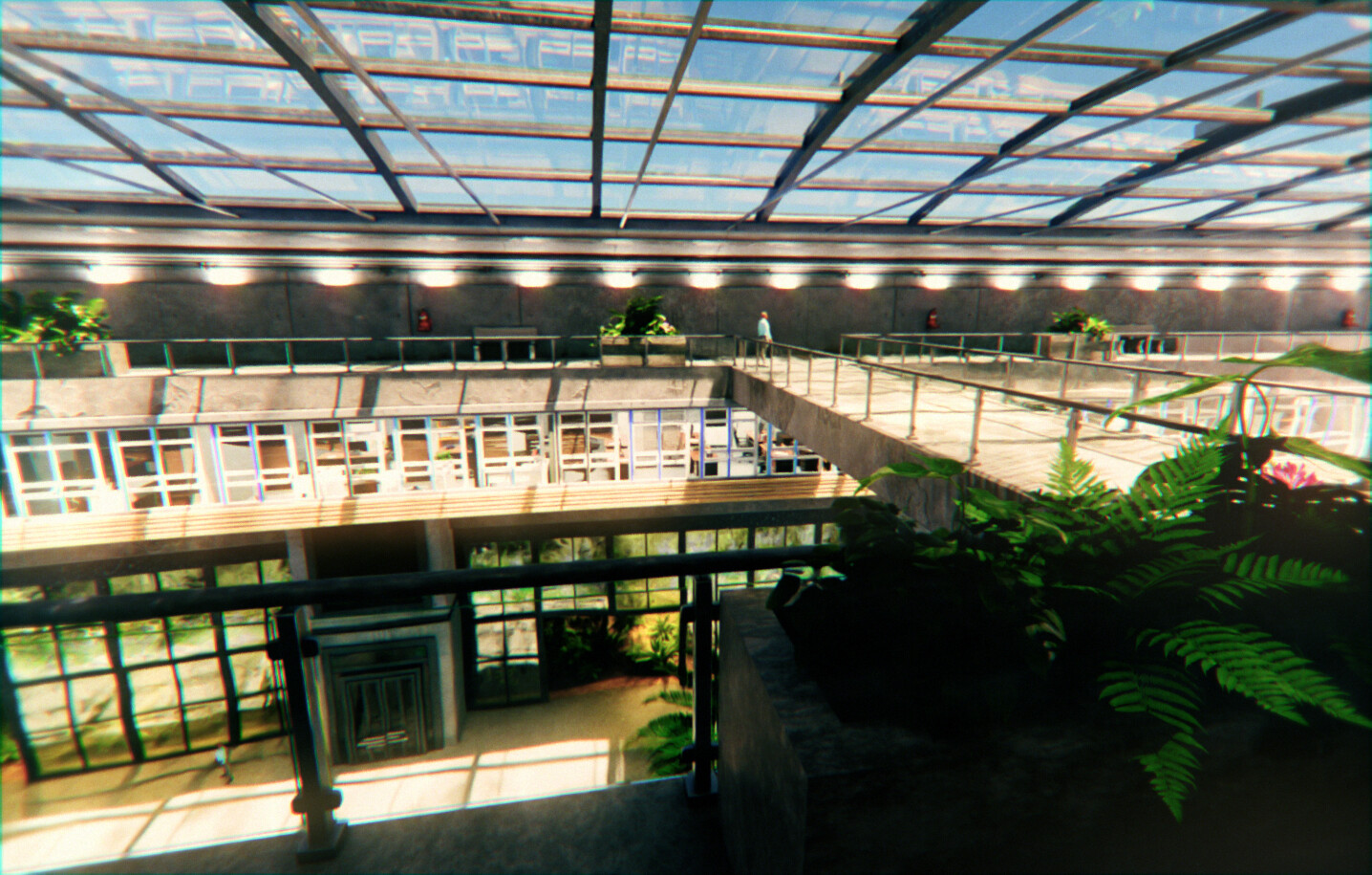 Conifer - i dreamt this and now its an image