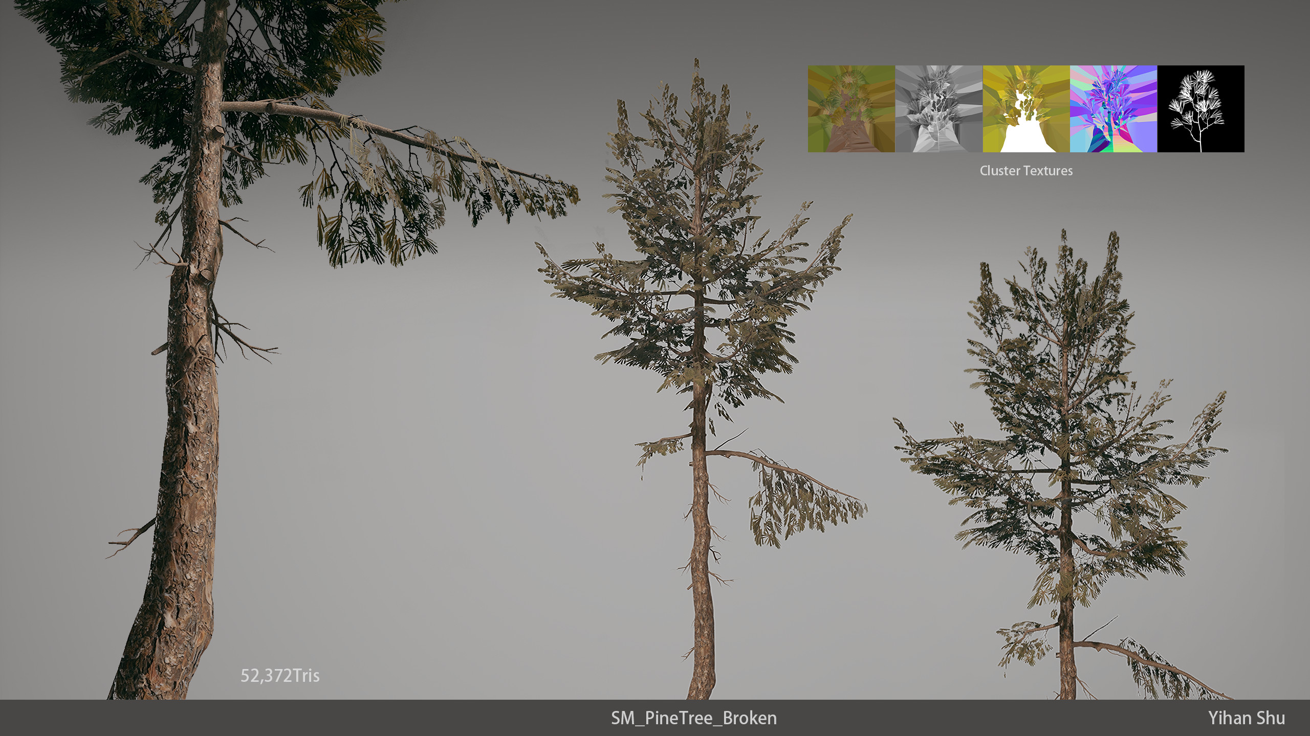 Yihan Shu - Biome Project —— Pagbalha