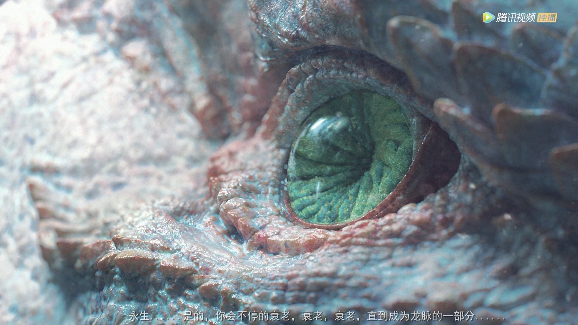 lin lei - The dragon king