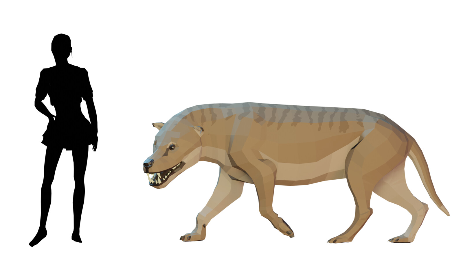 Adam Midzuk - Danielle and Cenozoic friends