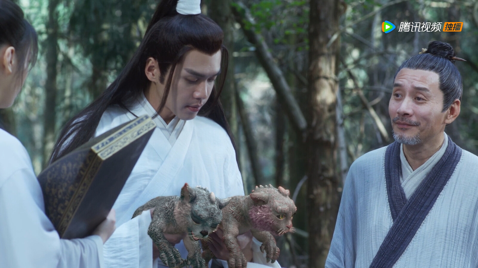 lin lei - Sword,Snow,Stride