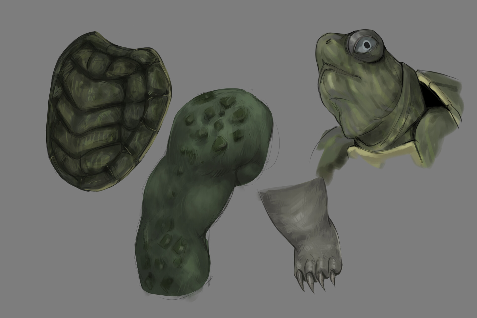 Rafa Amorim - Raphael TMNT (CDC)