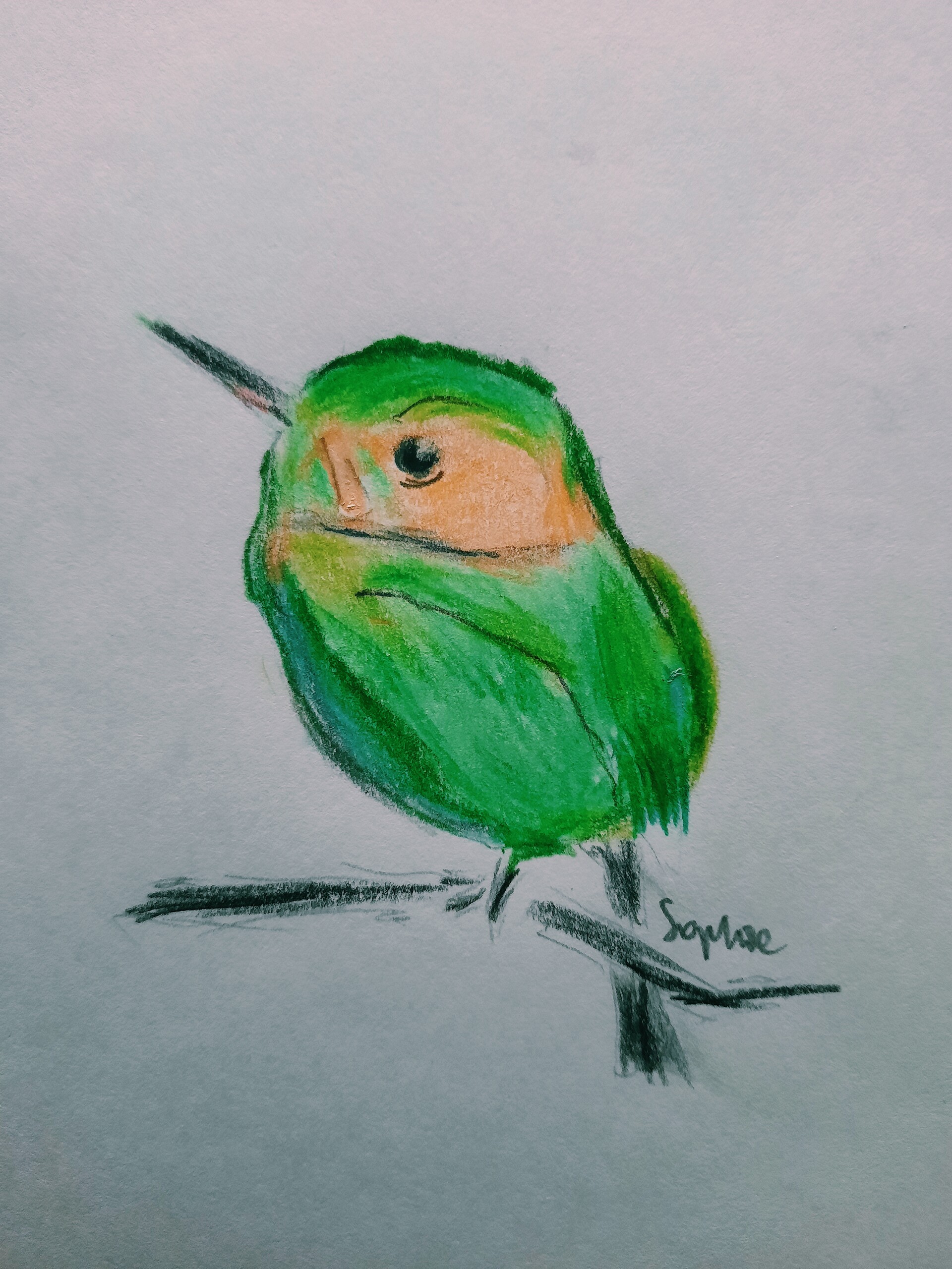 ArtStation - Green Bird