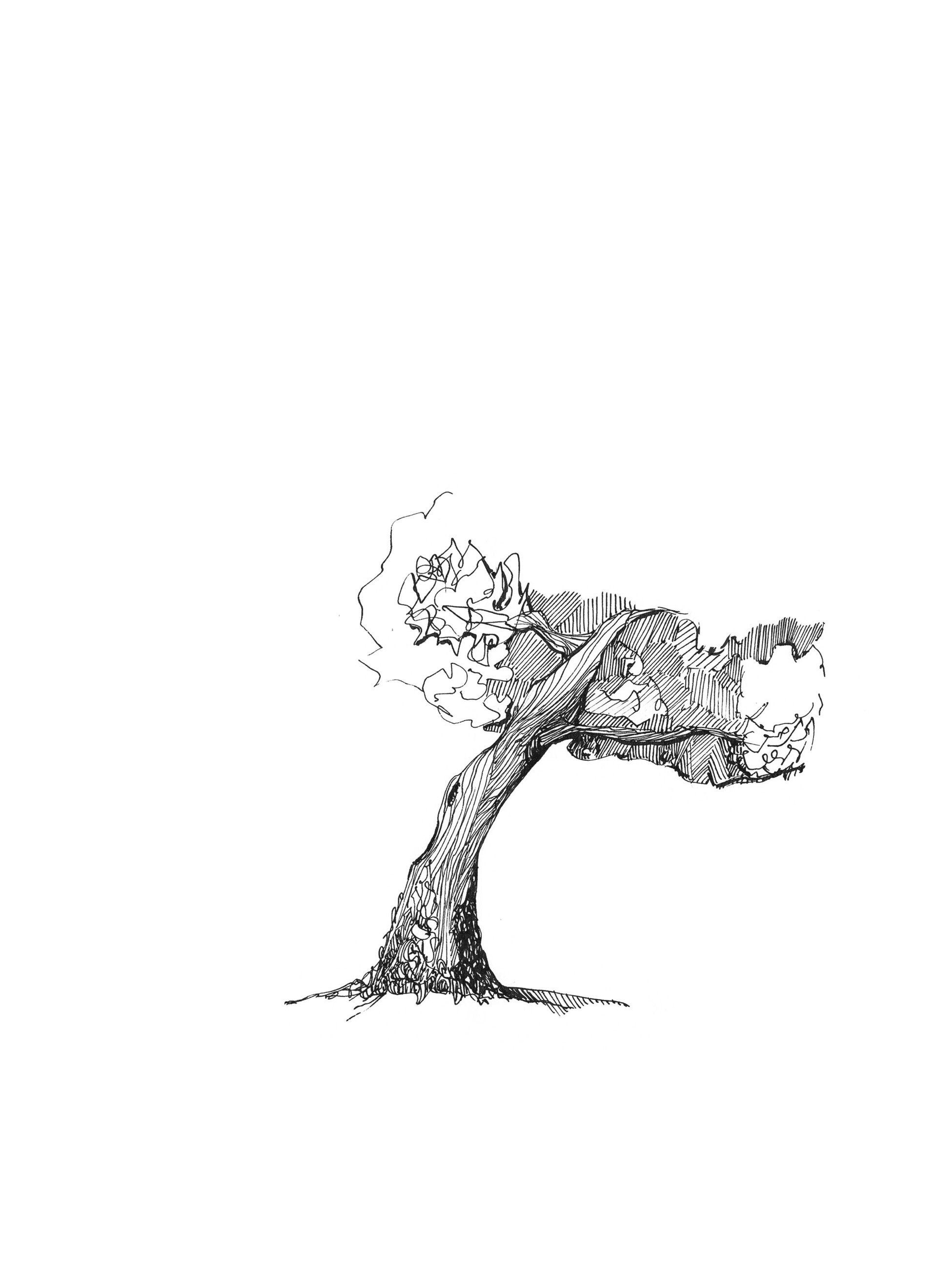 ArtStation - Tree_01