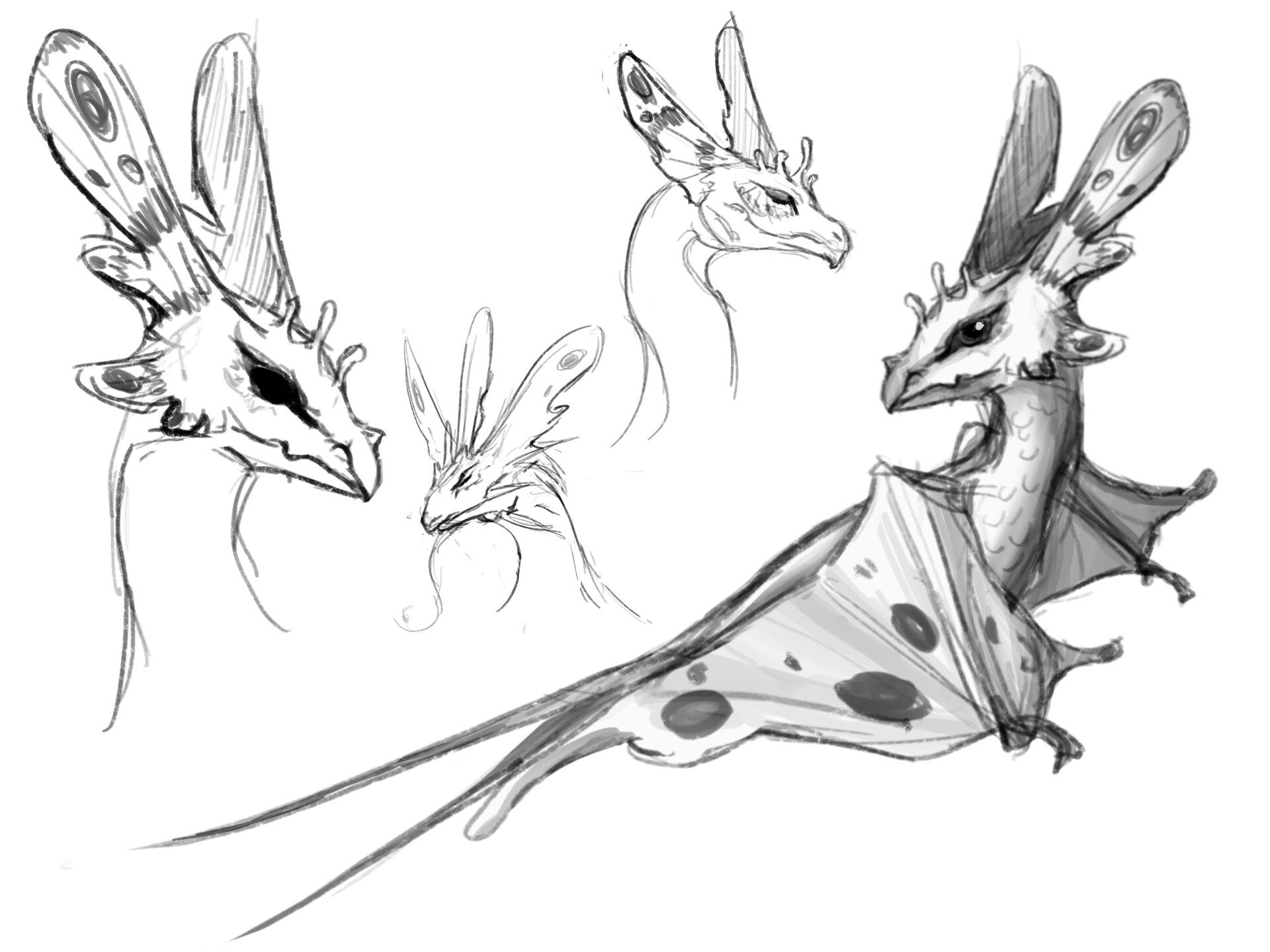 ArtStation - Butterfly Dragon