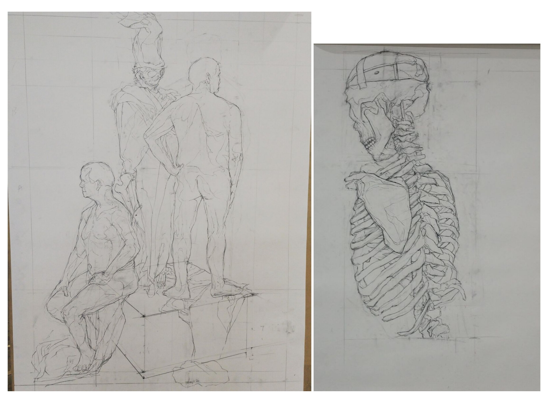 ArtStation - Life Drawing - Figures and Skeleton