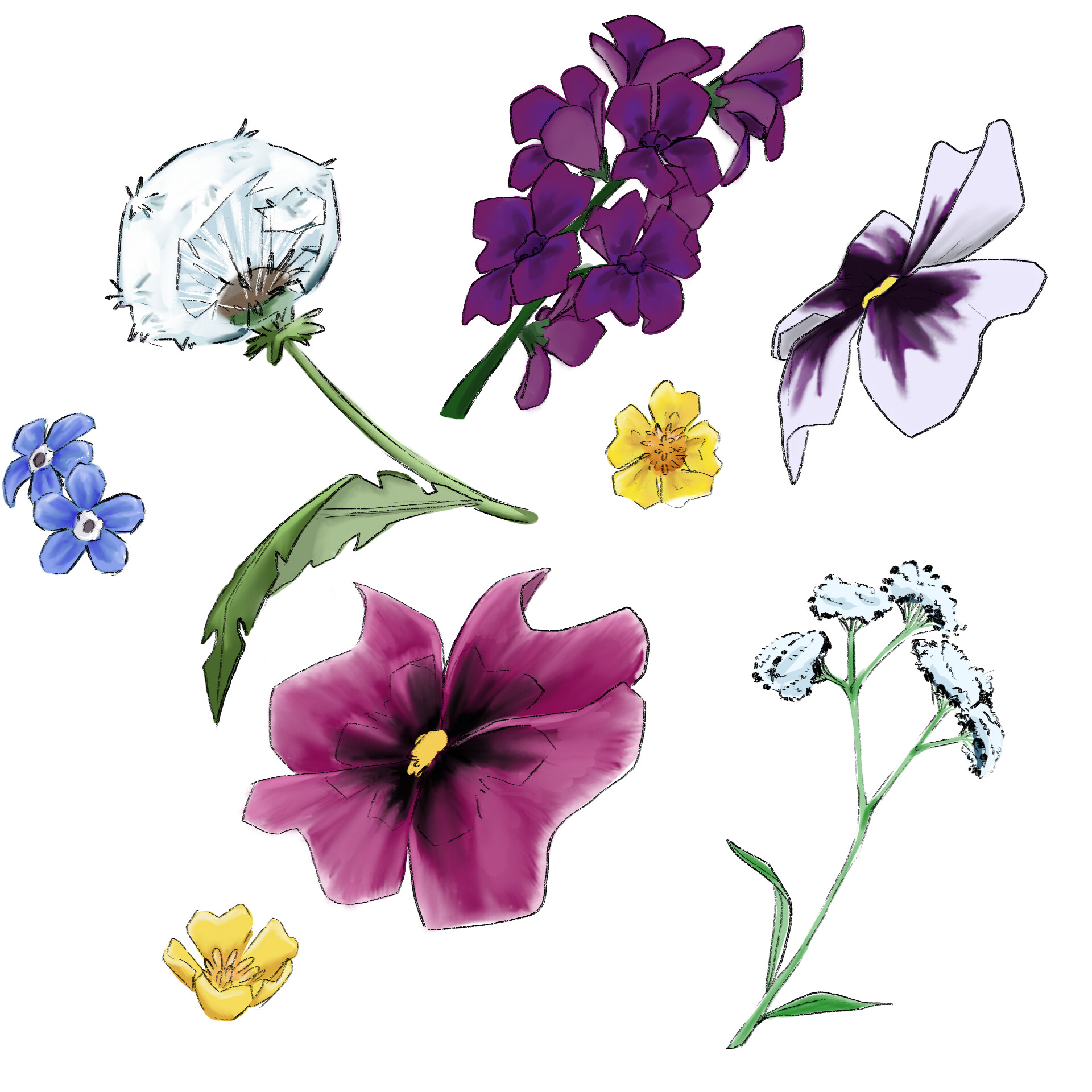 ArtStation - Flower Design/Study