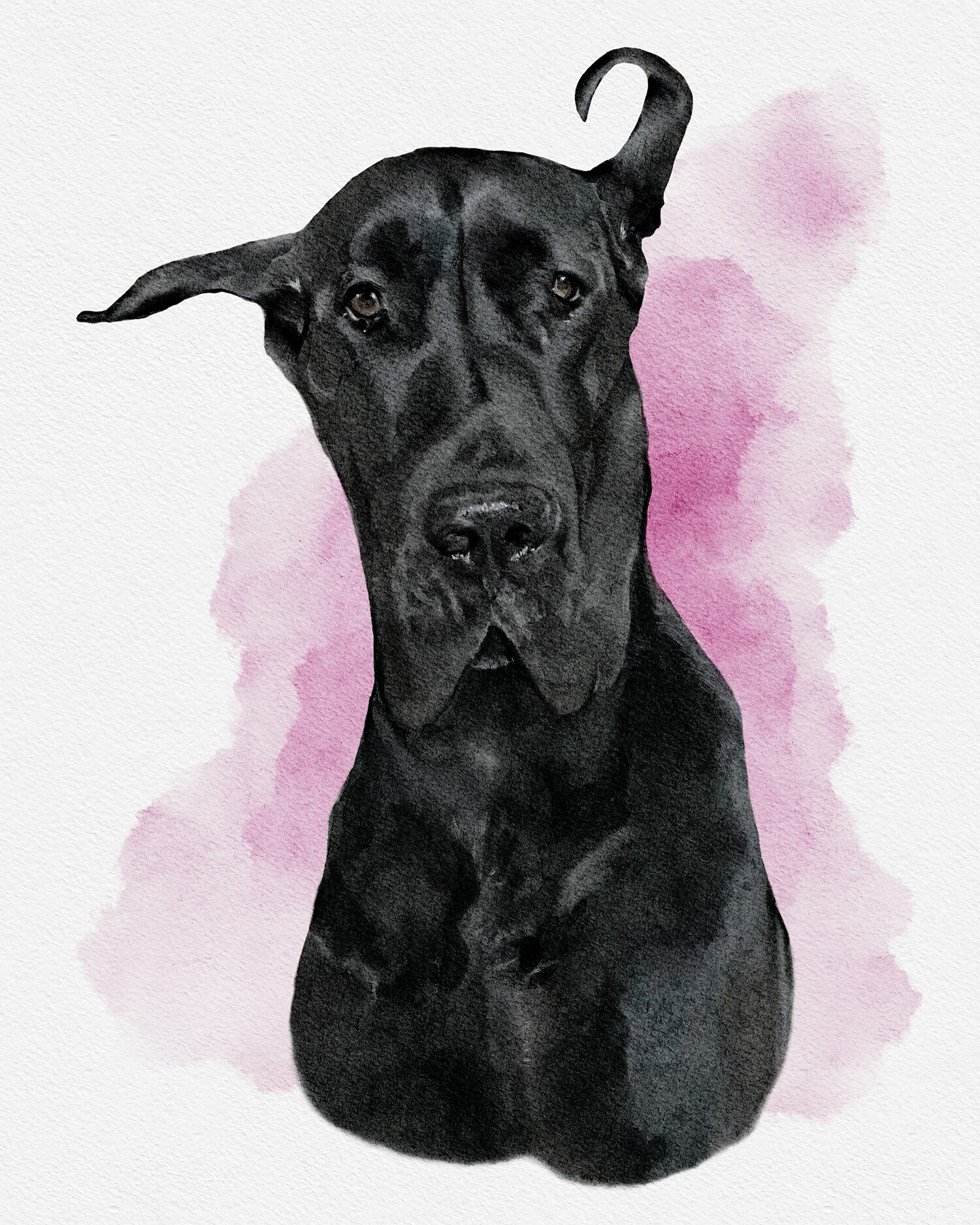 ArtStation - Ellie - Pet Portrait