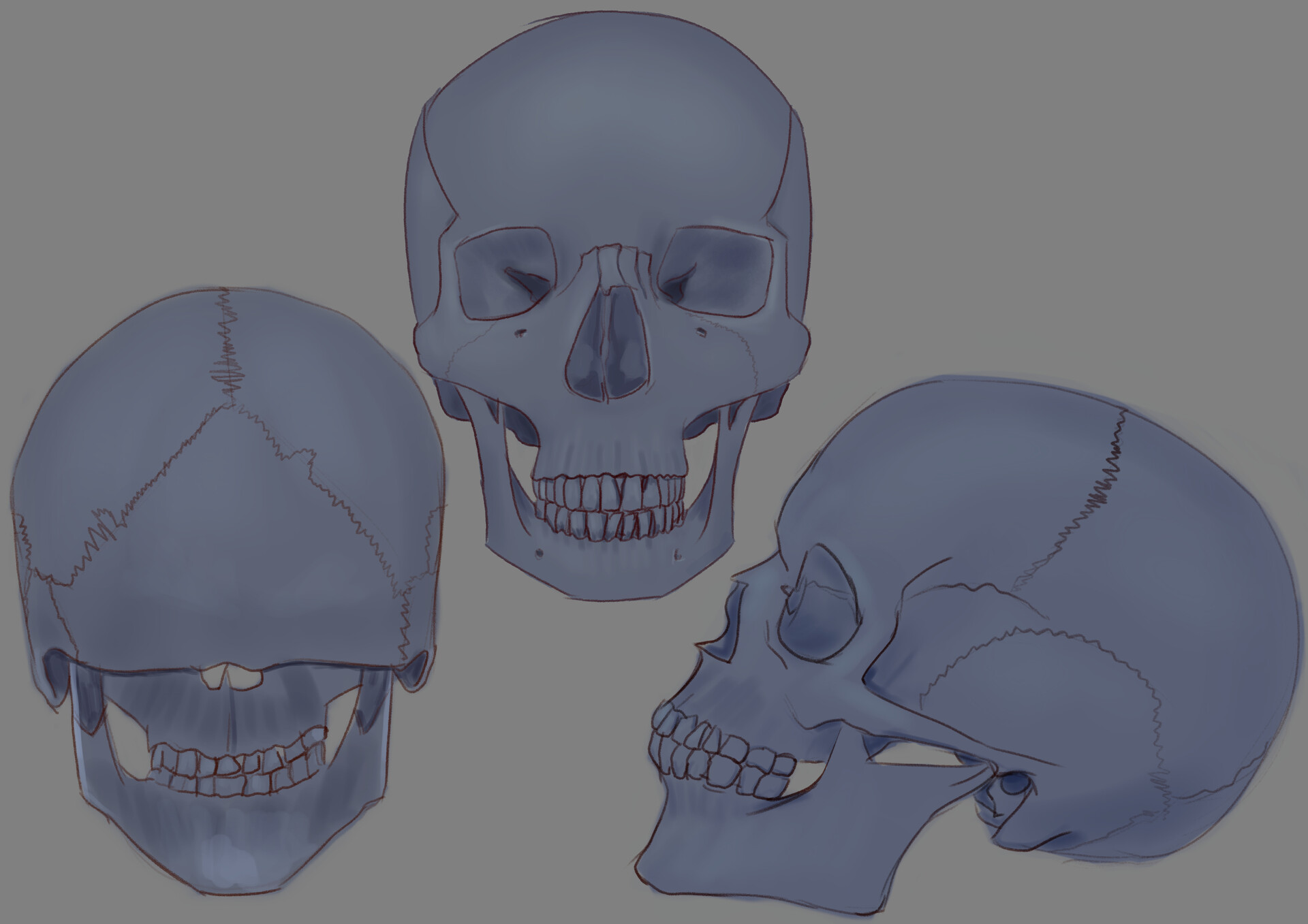 ArtStation - A Skull