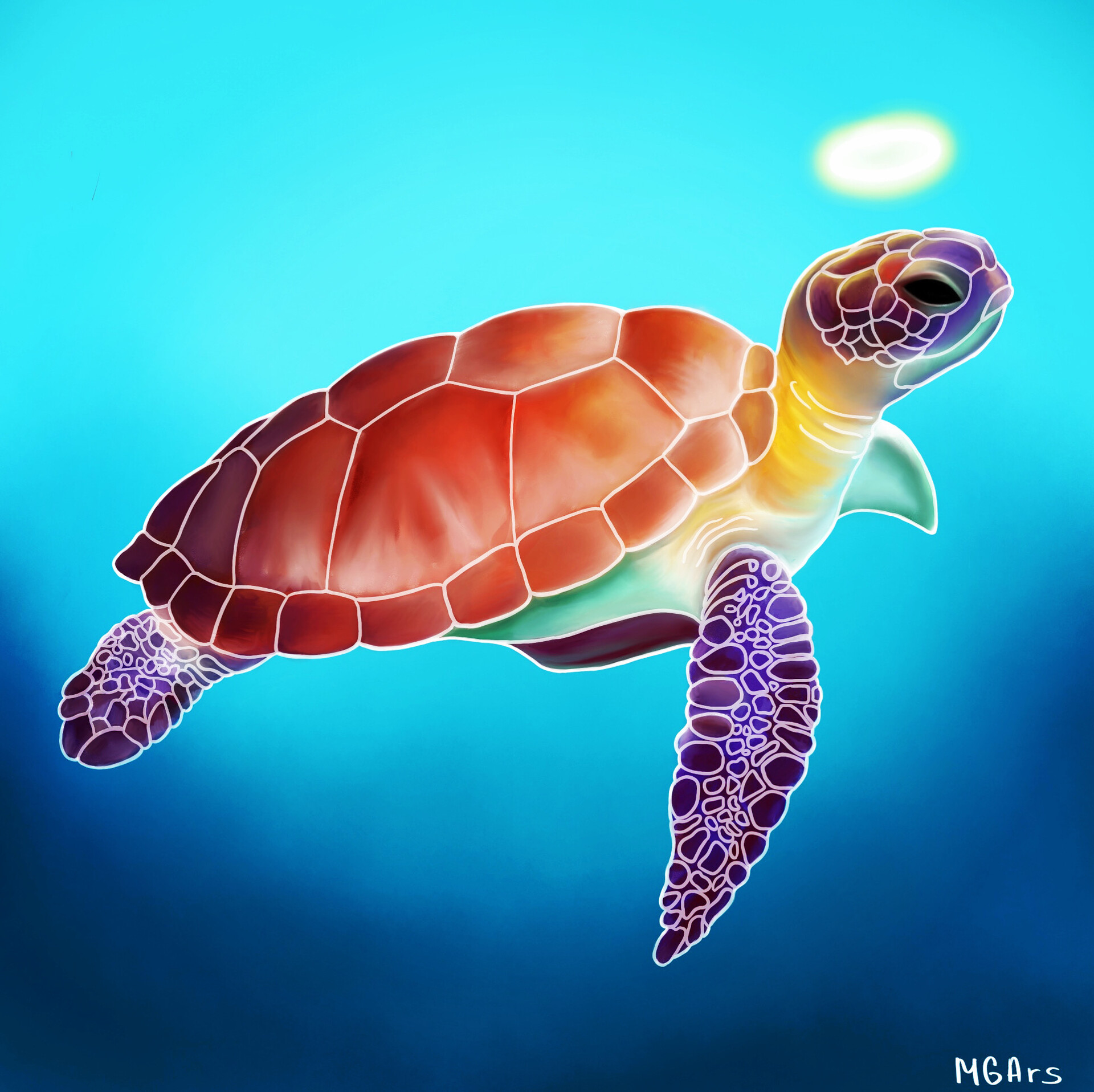 ArtStation - Turtle