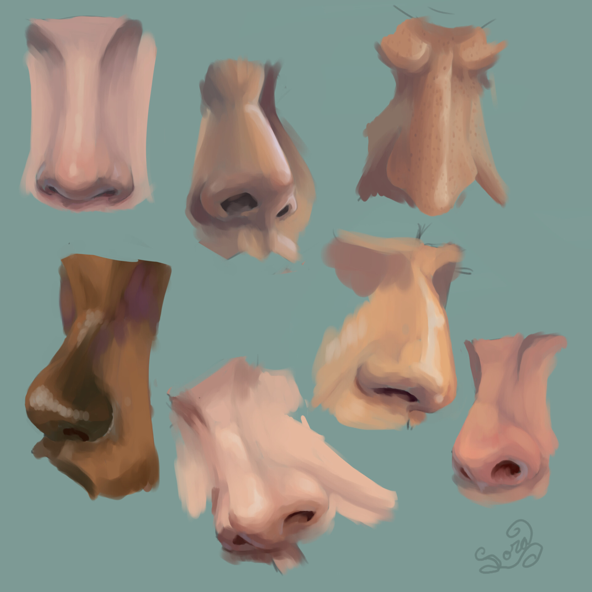 ArtStation - Nose study