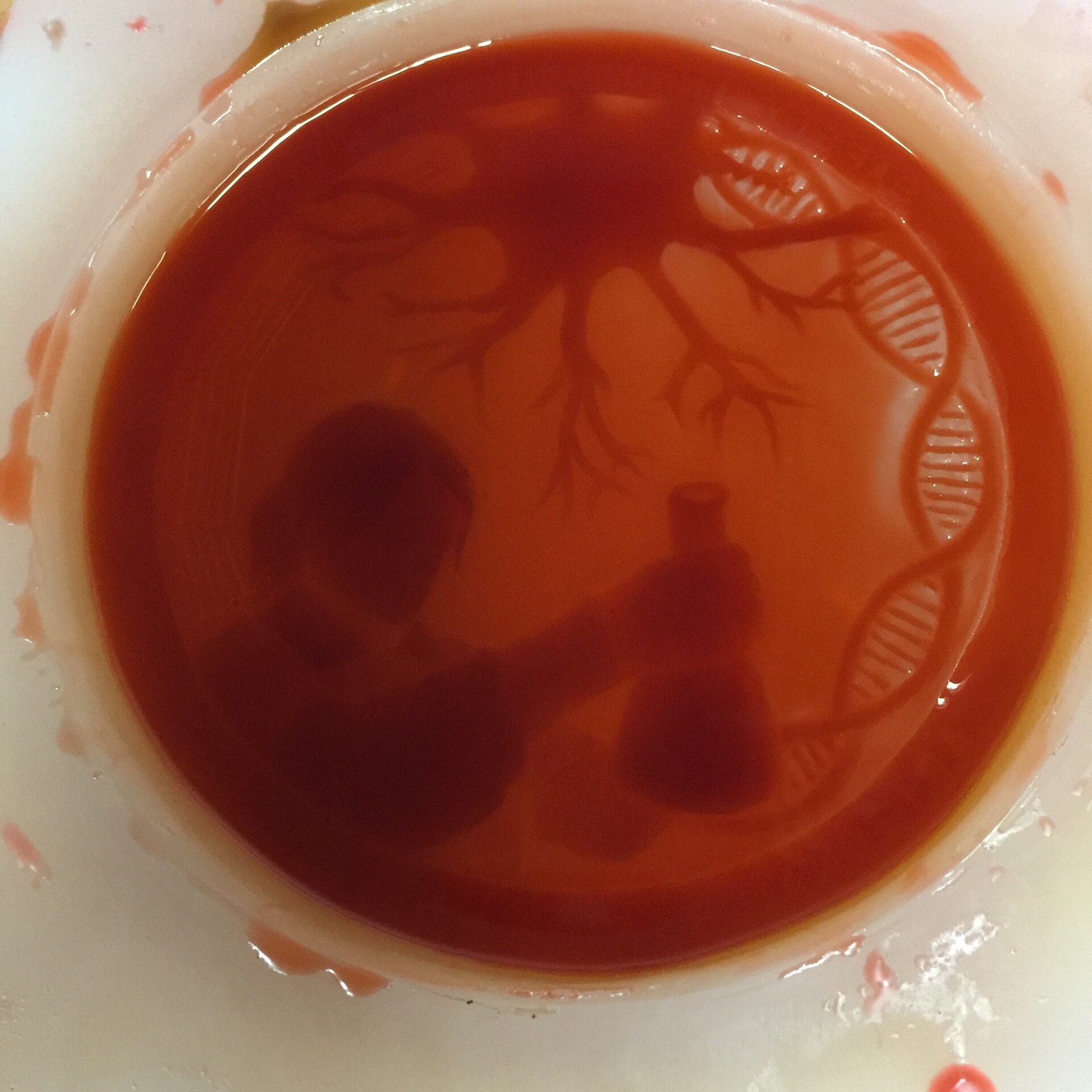 Daisy Nolz - "Laboratory Safety Innovation Award" Medallions