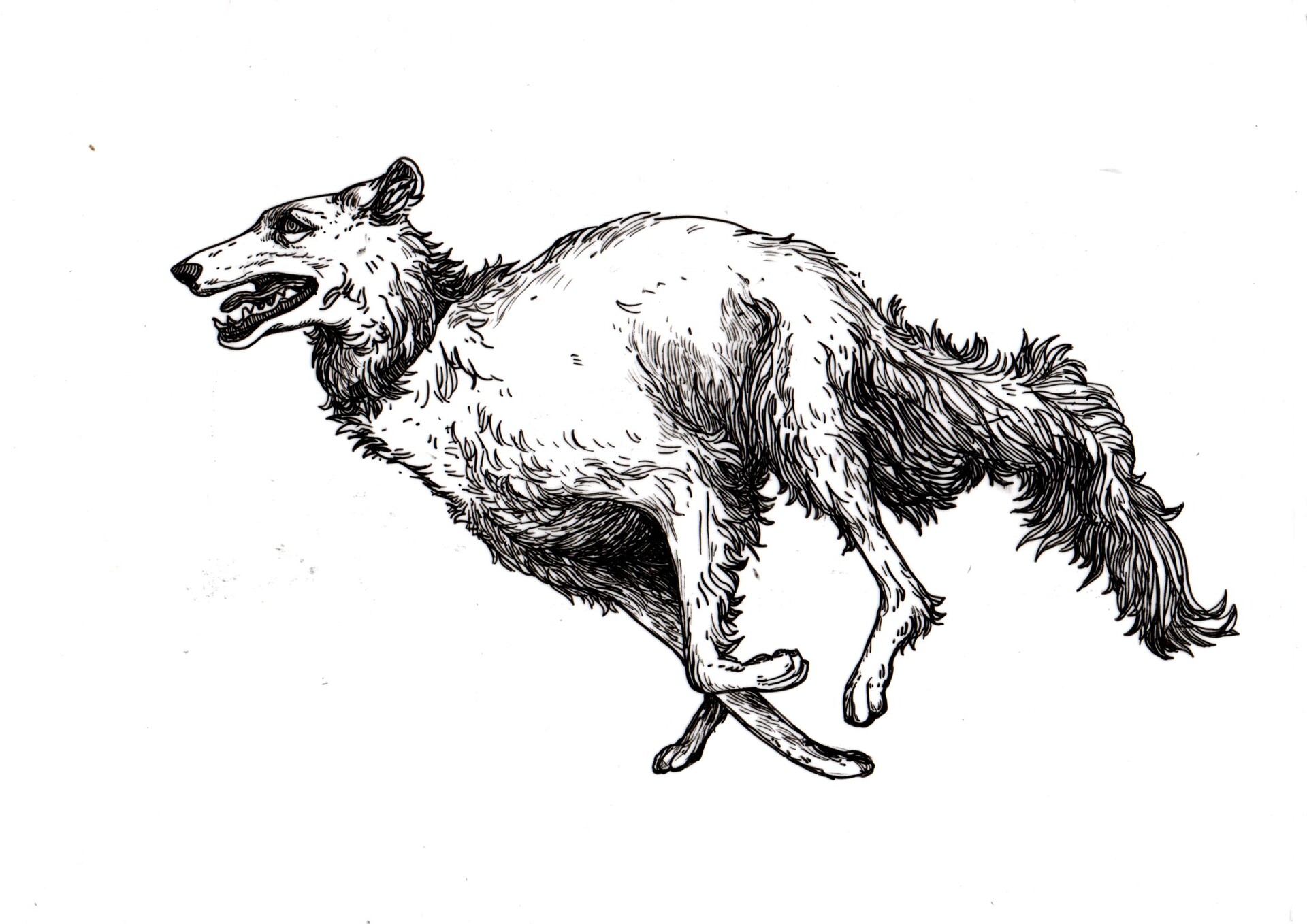 ArtStation - running dog