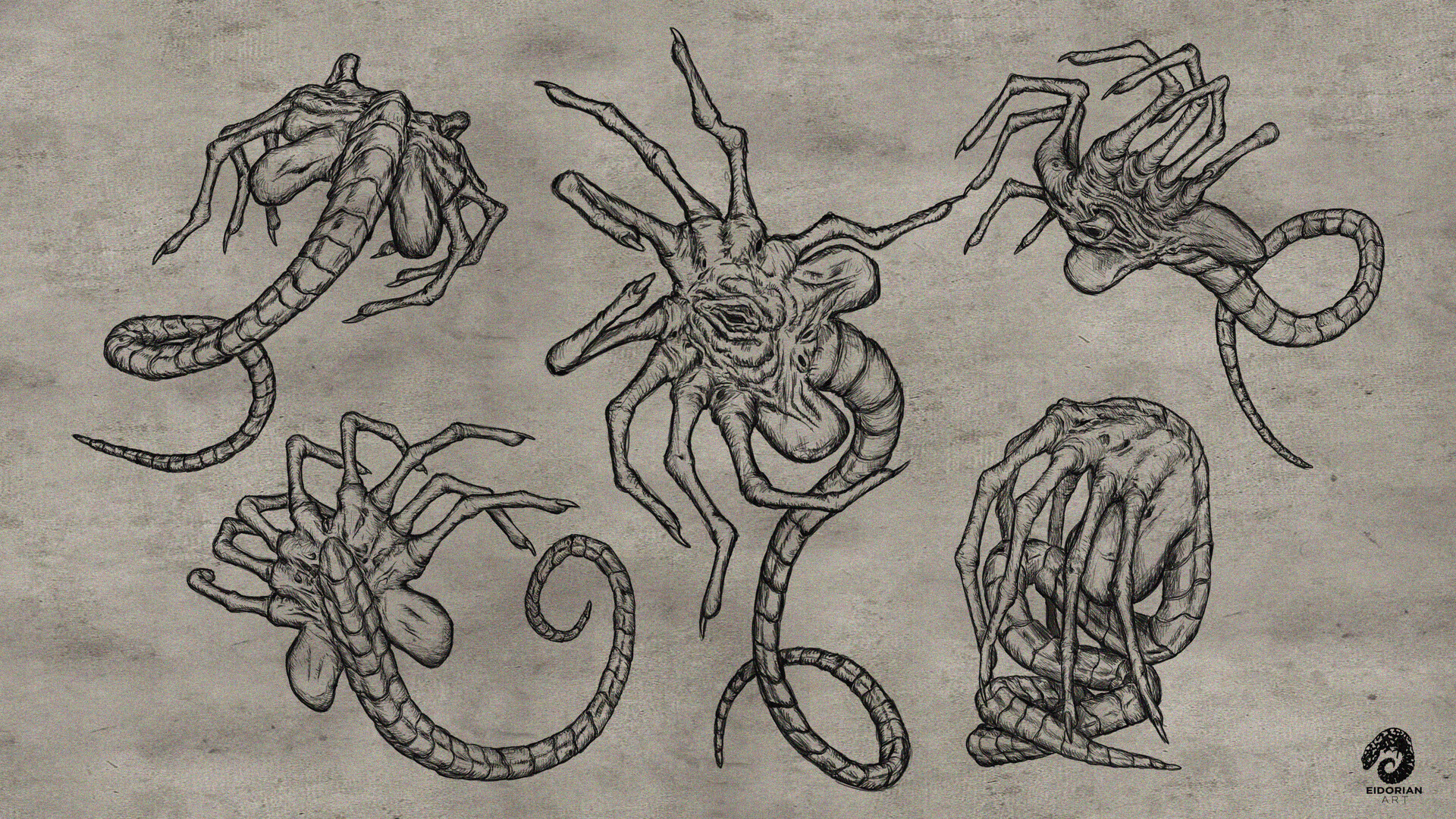 how to draw a facehugger