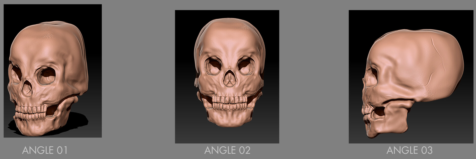 Jade Carreira - Human Skull