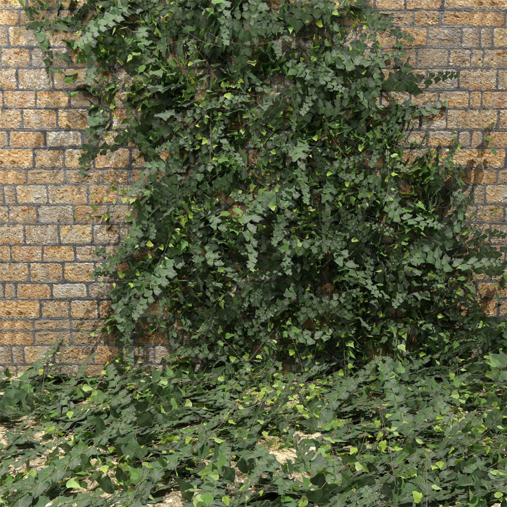 ArtStation - 3D English Ivy Plant Twigs