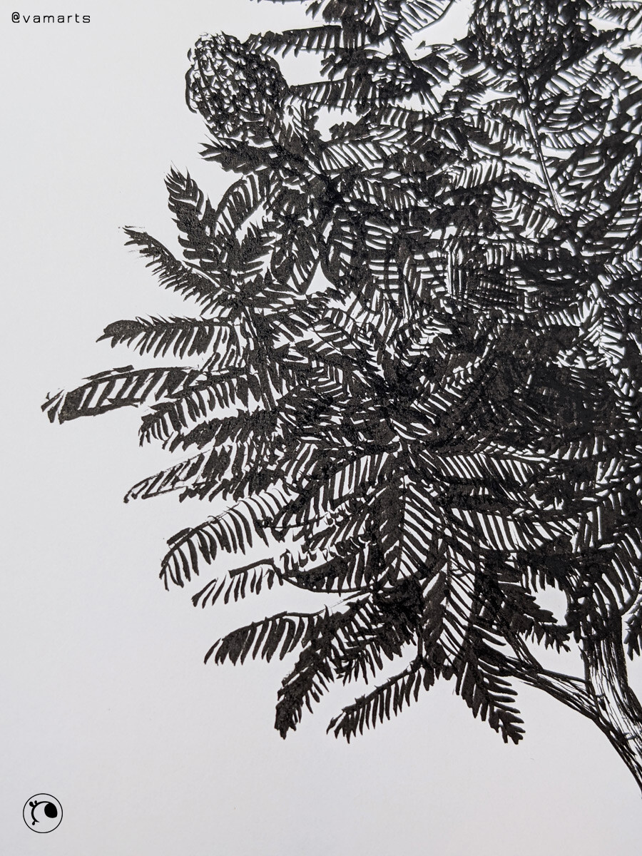 how to draw a jacaranda tree