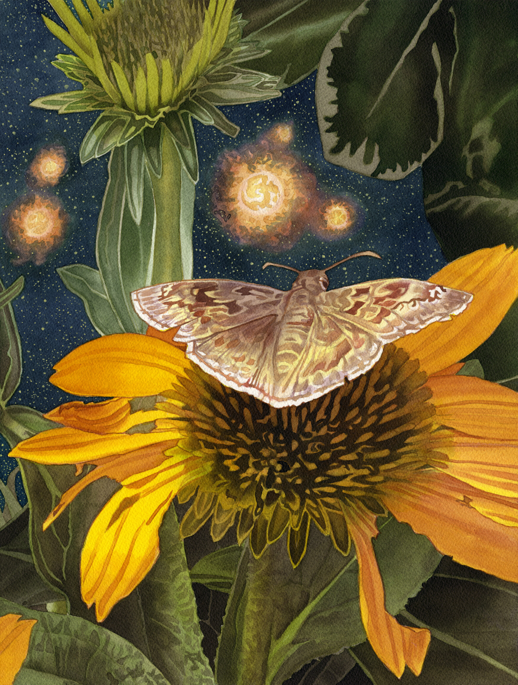 Alan Hawley - Acrylic and Oil Paintings