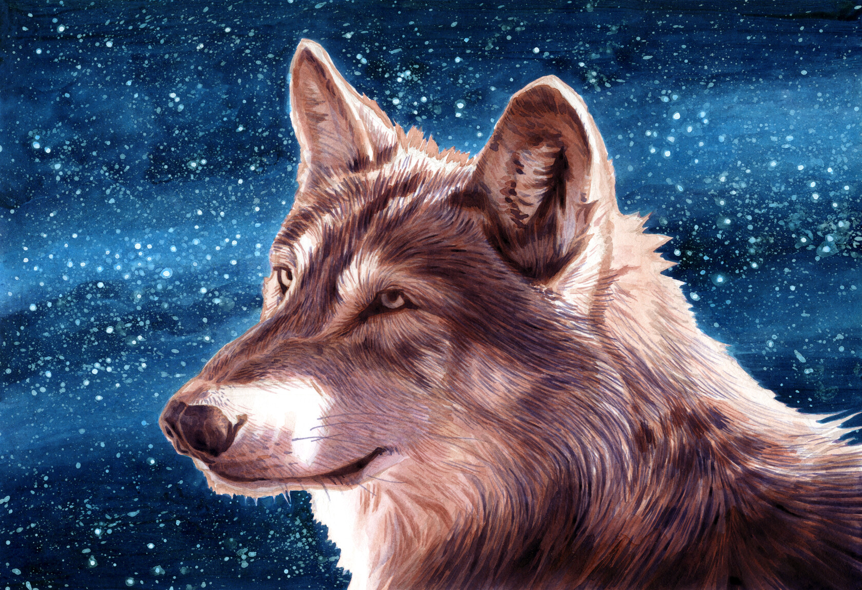 Alan Hawley - Acrylic and Oil Paintings