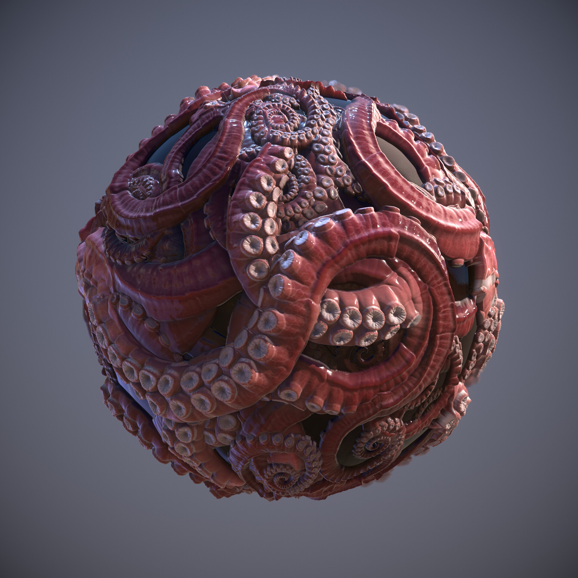 ArtStation - sd_exercise06_octopus