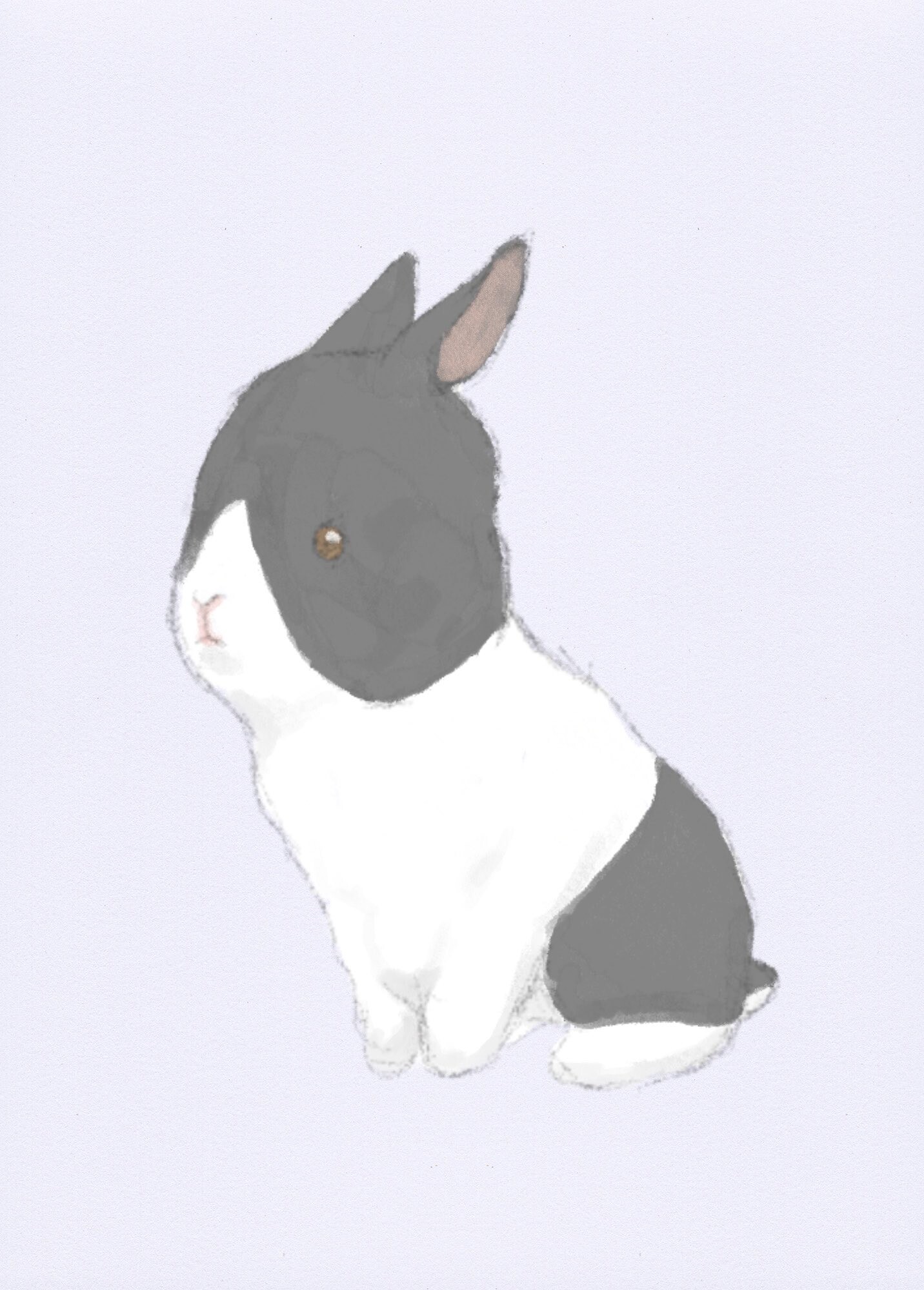 ArtStation - dutch rabbit