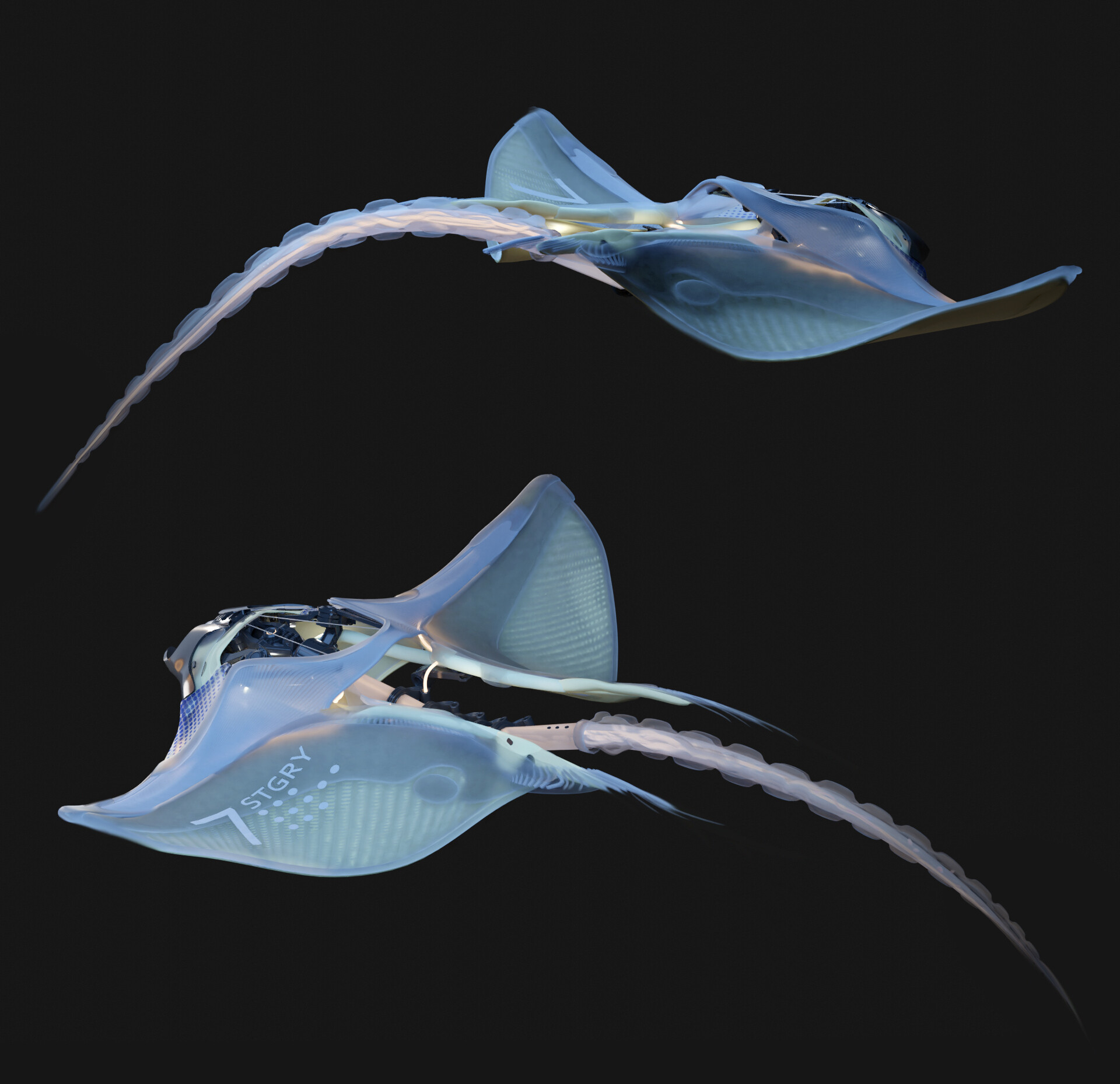 ArtStation - Biomech_Stingray