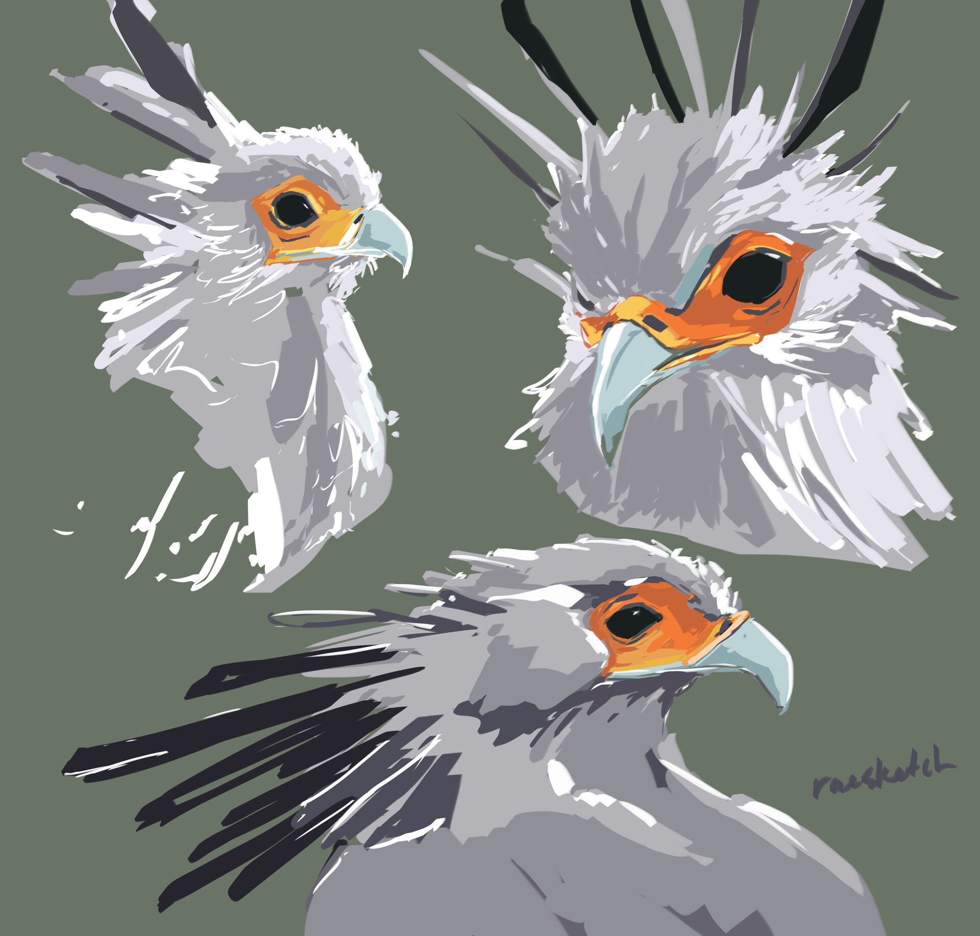 ArtStation - Secretary Birds