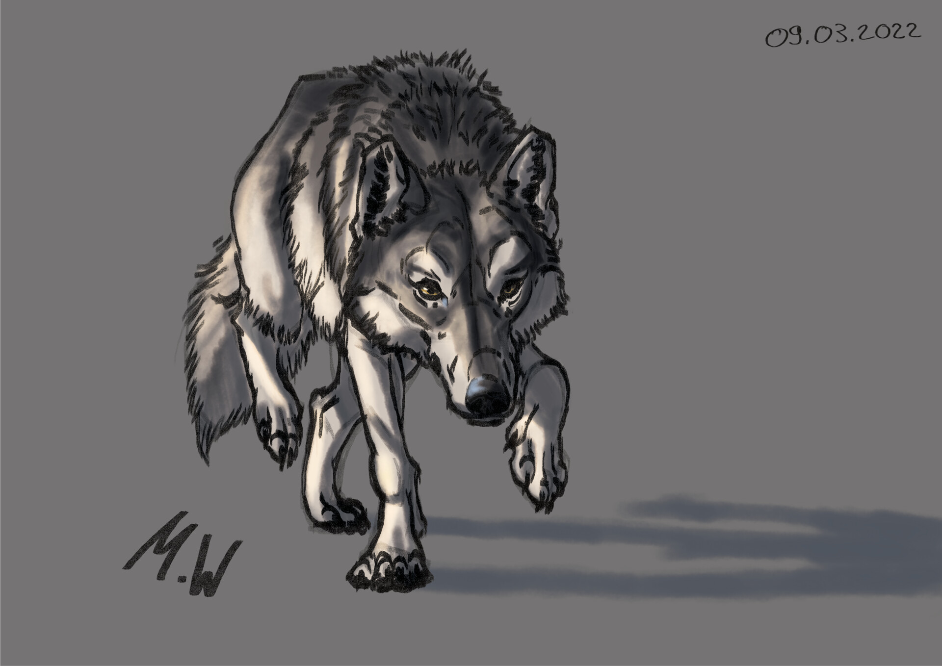 ArtStation - Digital Wolf Drawing