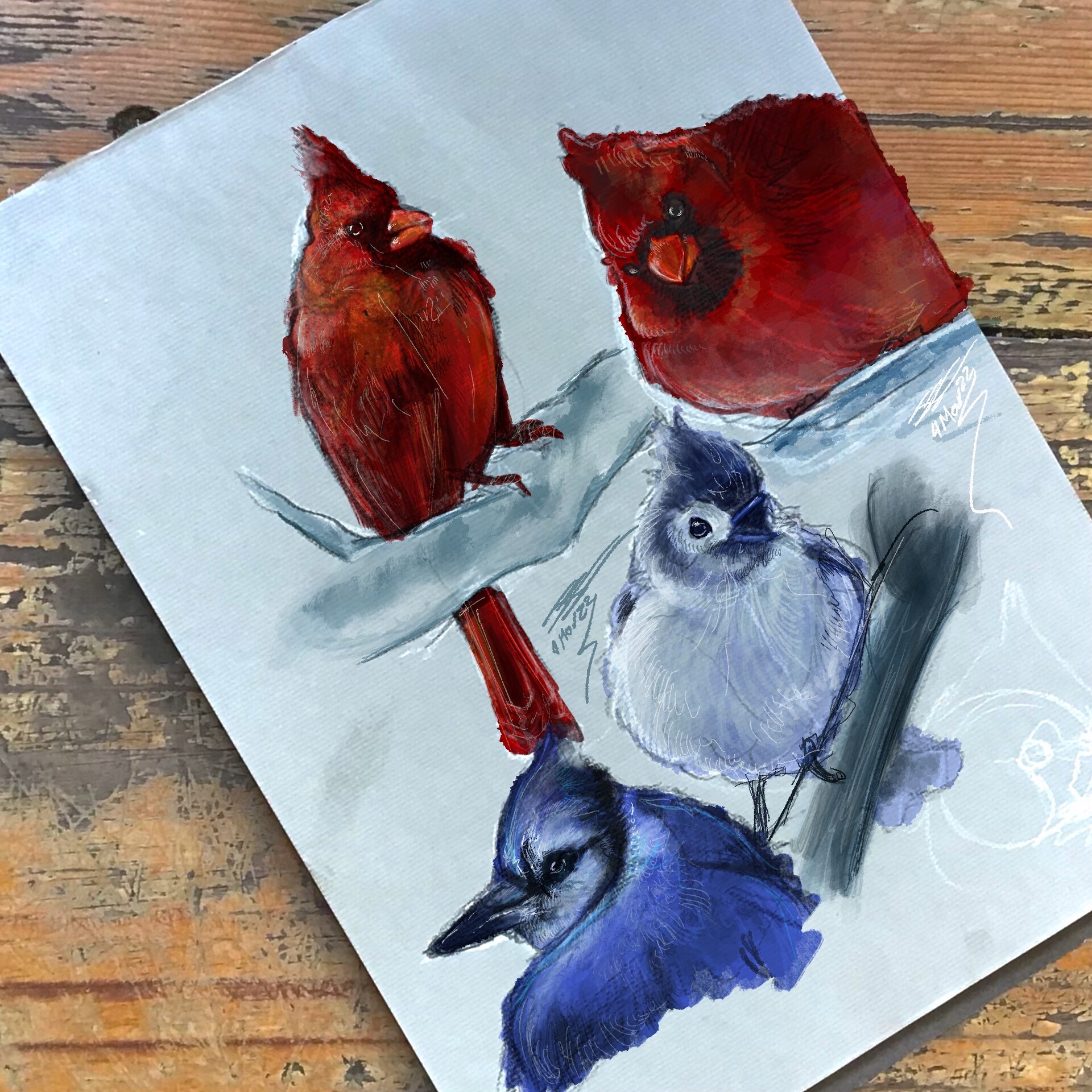 ArtStation - Cardinal