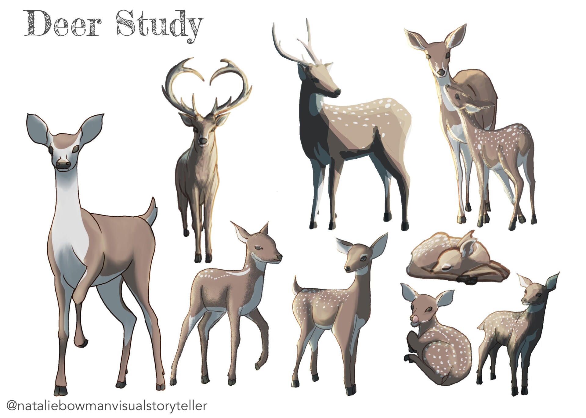 ArtStation - Deer Study